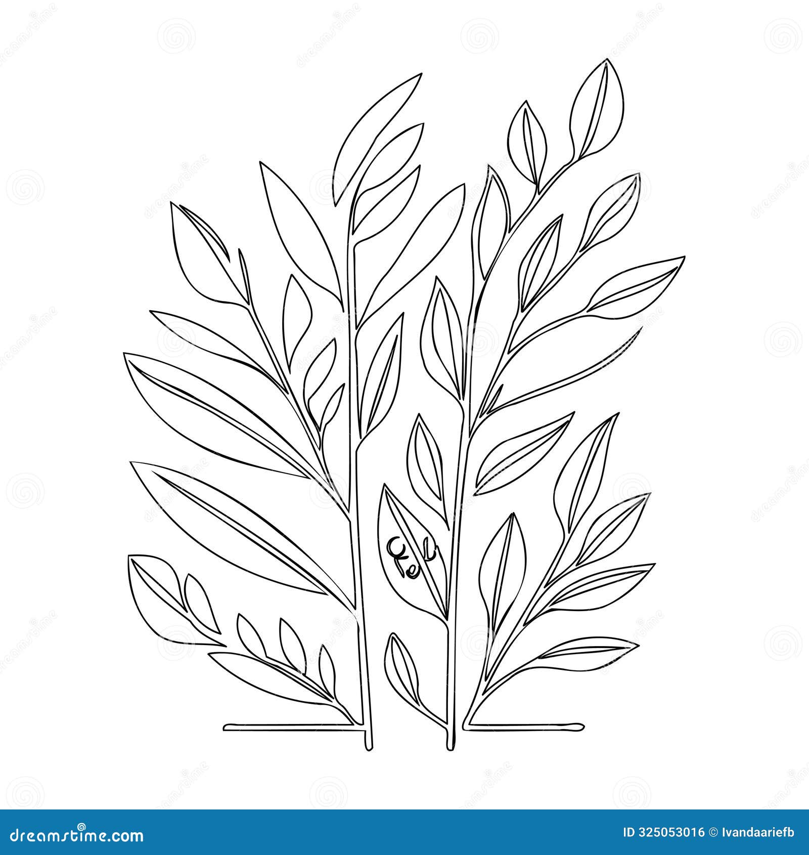 Parallel Leaf Floral Outline Illustration Sketch Stock Vector ...