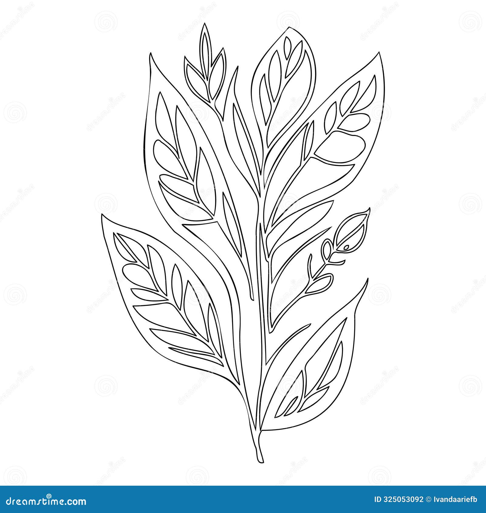 Parallel Leaf Floral Outline Illustration Sketch Stock Vector ...