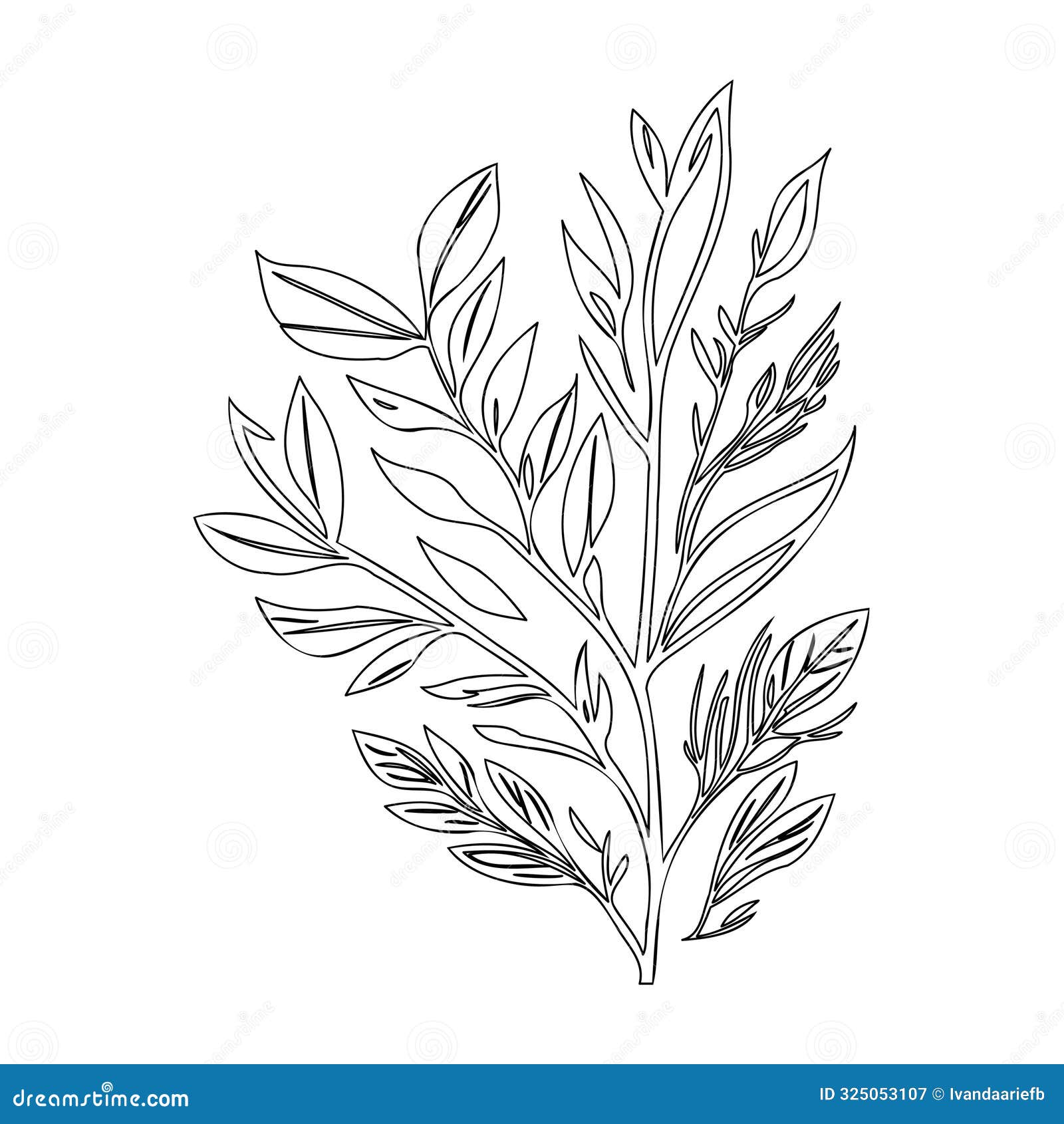 Parallel Leaf Floral Outline Illustration Sketch Stock Vector ...
