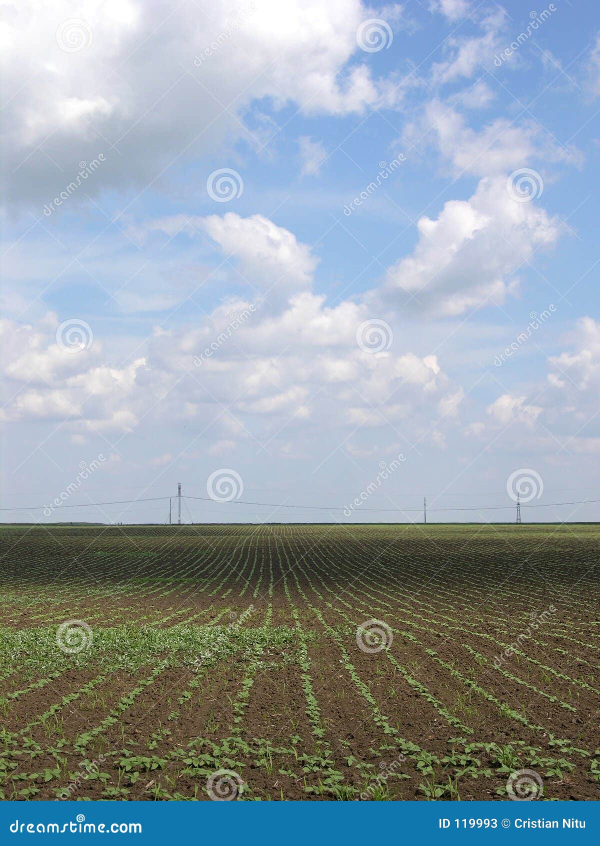 Parallel Lines stock image. Image of clouds, lawn, meadows - 119993