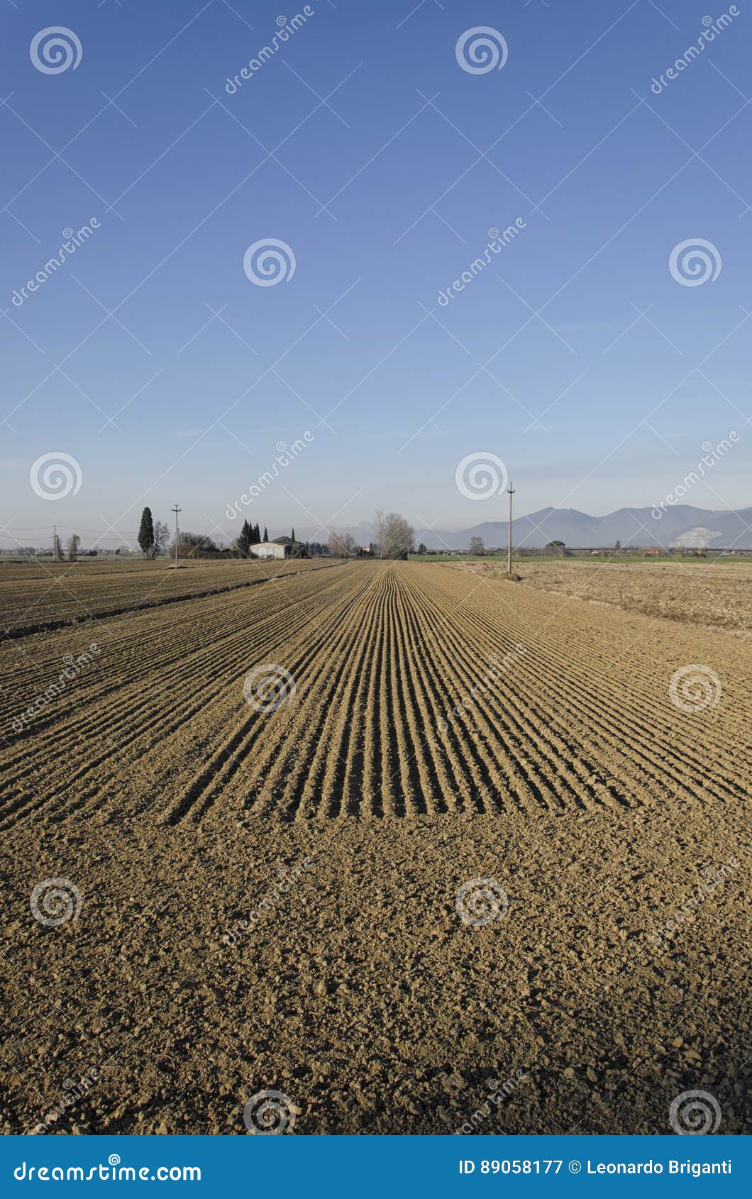 The Parallel Lines of Campaign Stock Image - Image of ground, farm ...