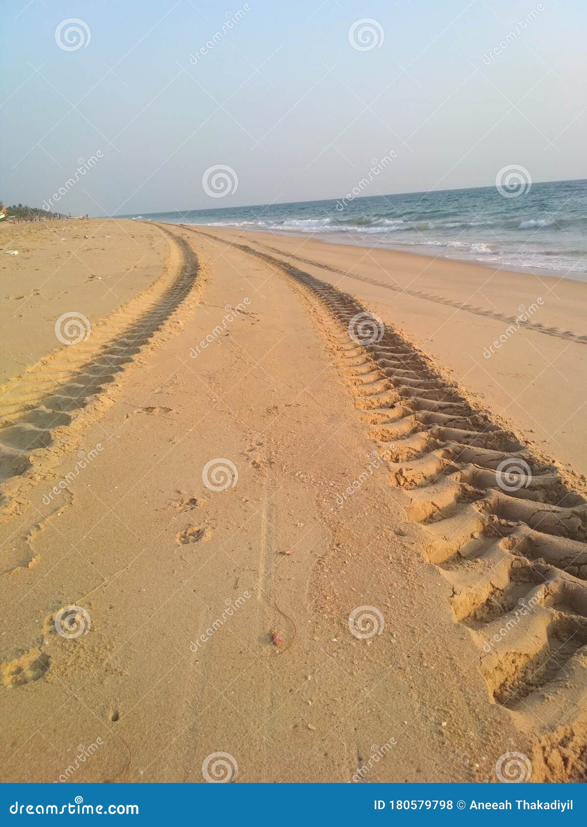 The Parallel Lines Near a Beach. the Abstract Representation of Never ...