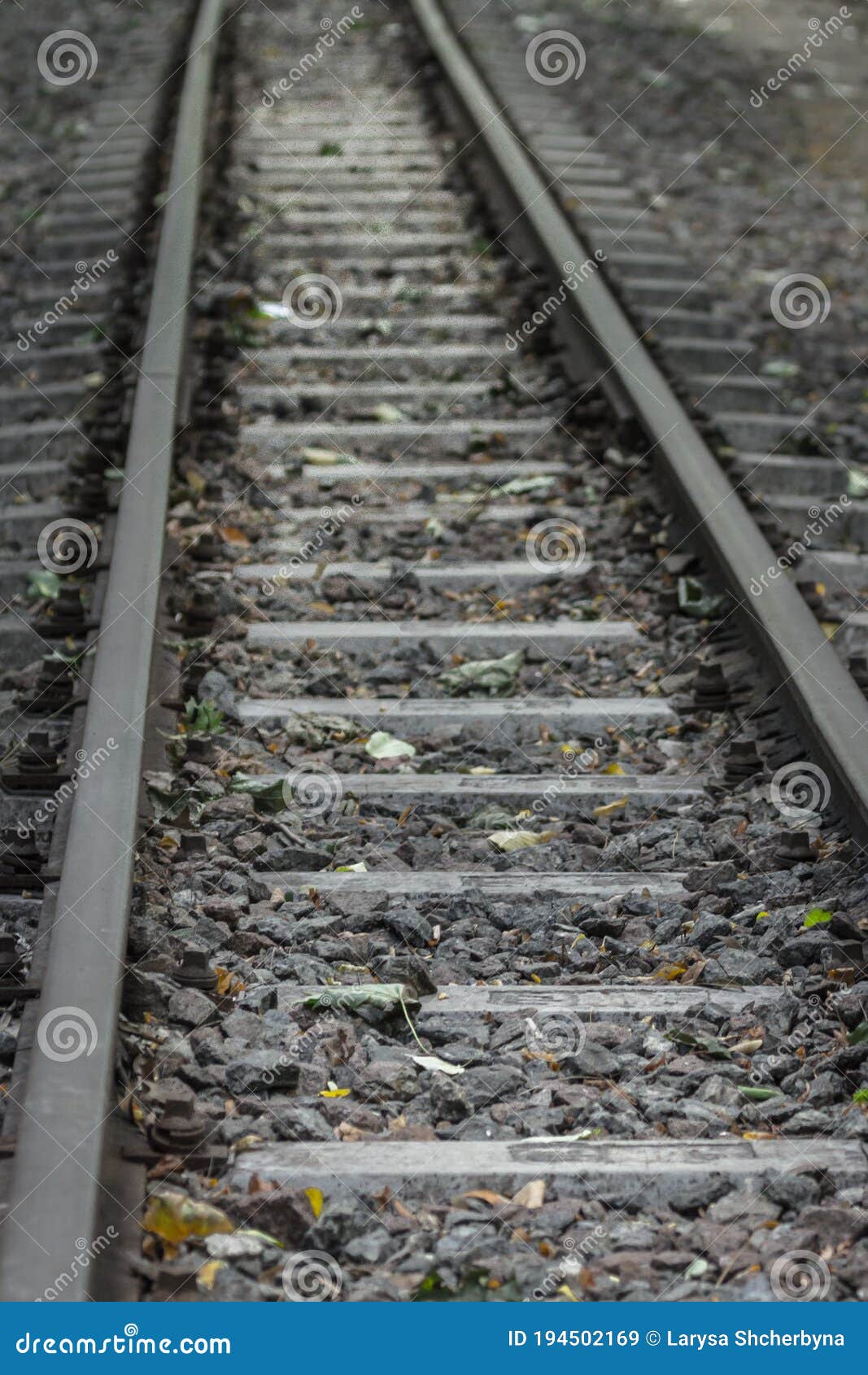 Parallel Rails Extending Vertically into Perspective Stock Image ...