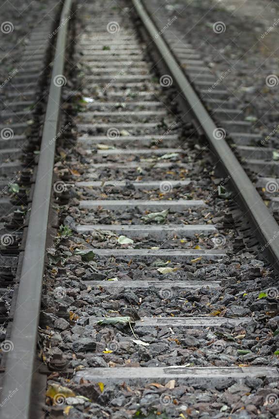Parallel Rails Extending Vertically into Perspective Stock Image ...