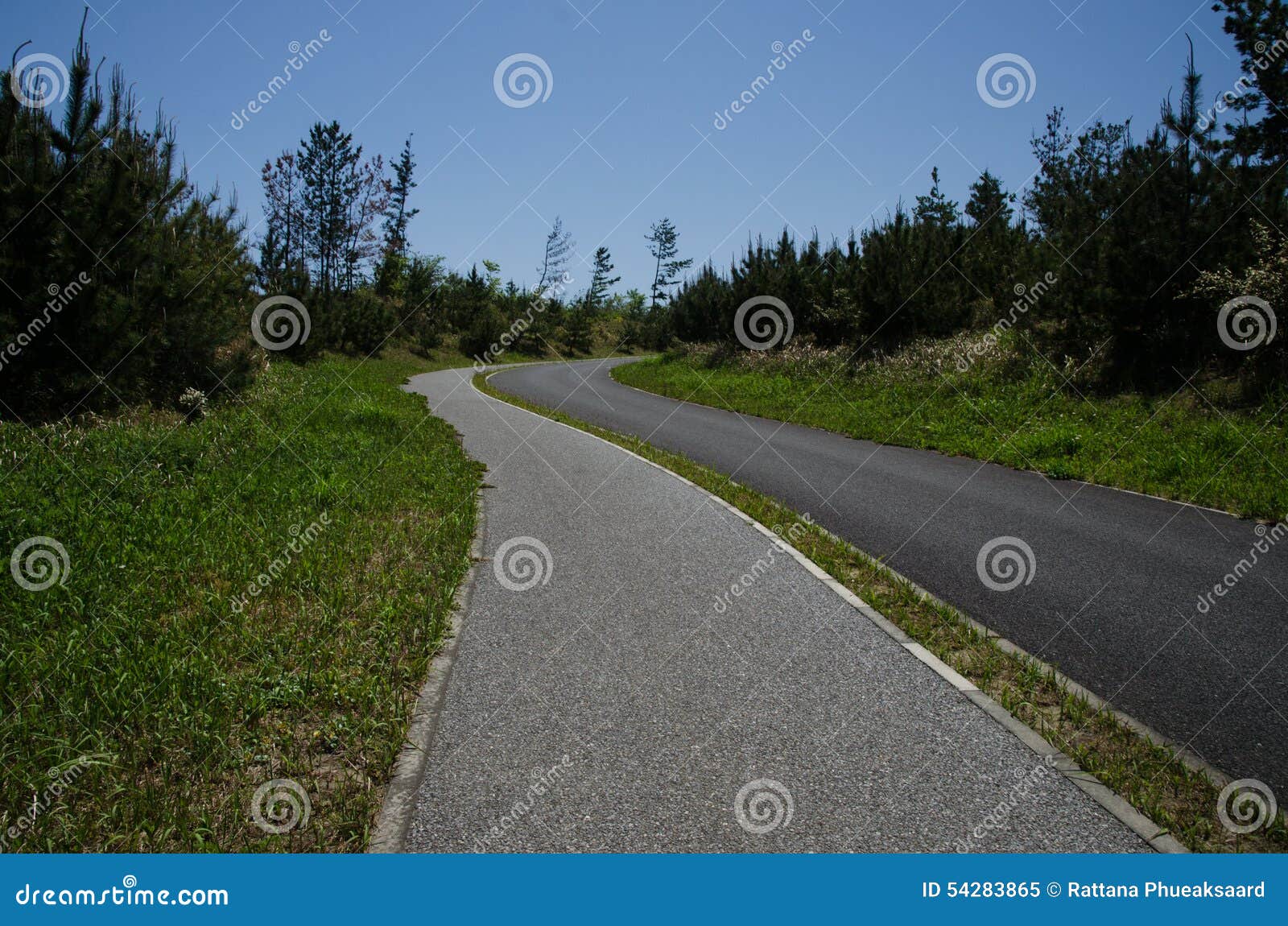 Parallel street stock image. Image of landscape, park - 54283865