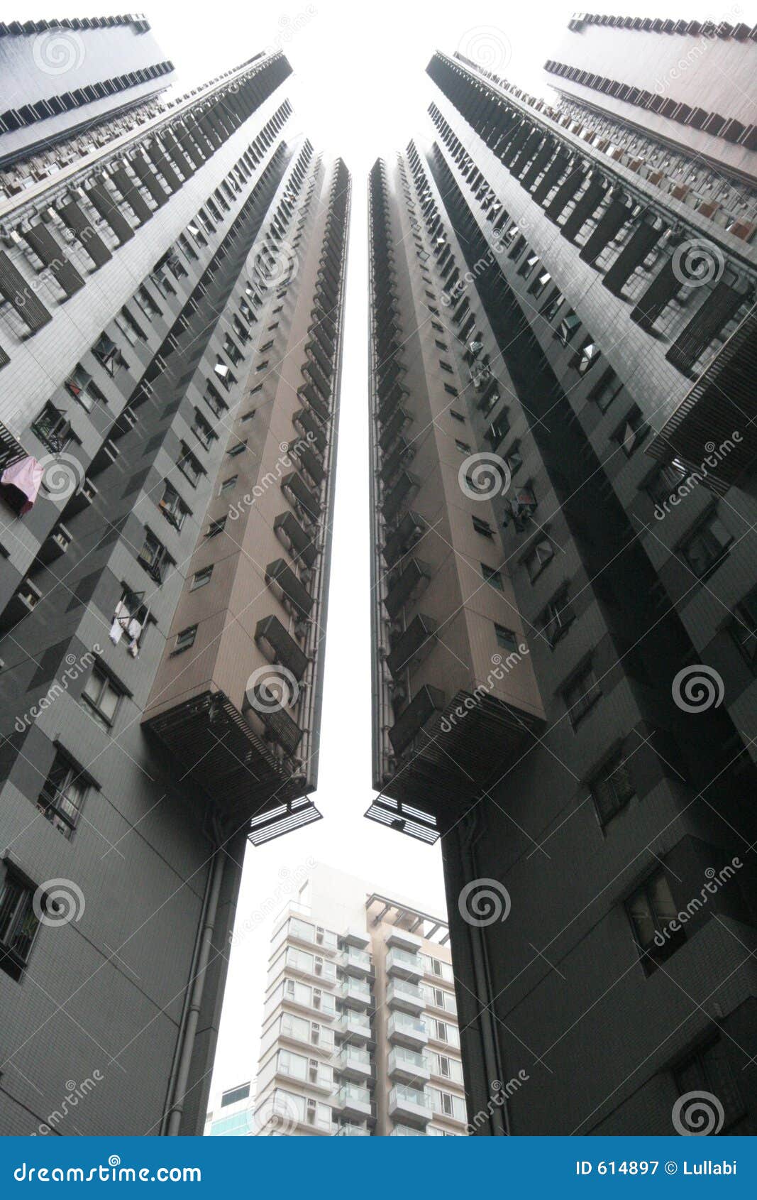 Parallel Twins Picture. Image: 614897