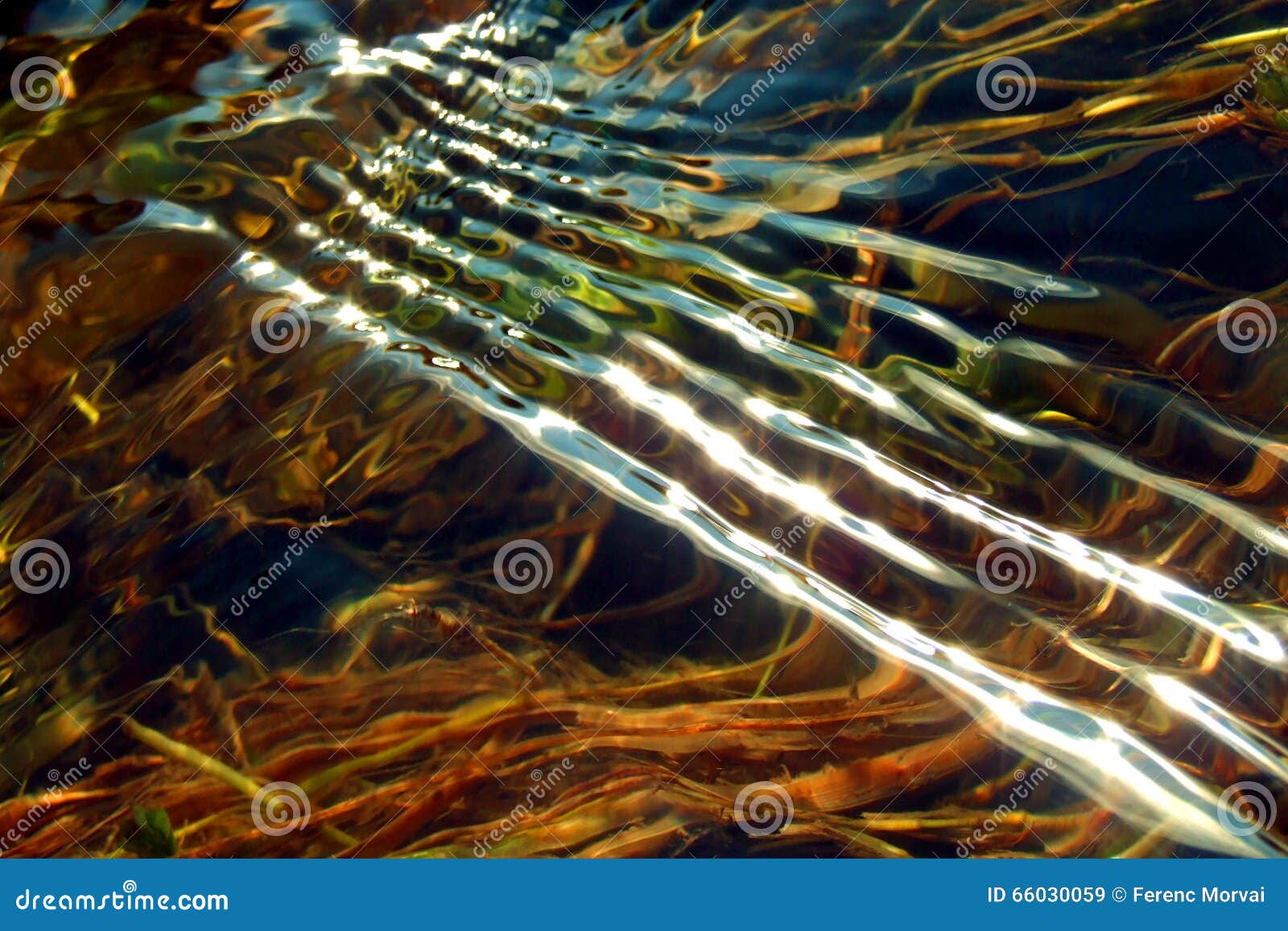 Parallel waves stock image. Image of clearwater, reflection - 66030059