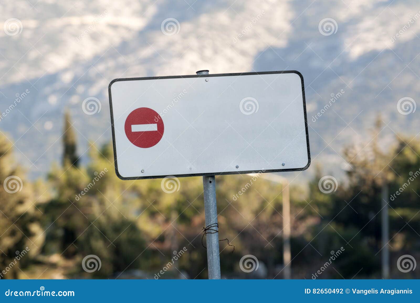 Parallelogram Prohibited Road Sign Stock Photo - Image of scene, forest ...