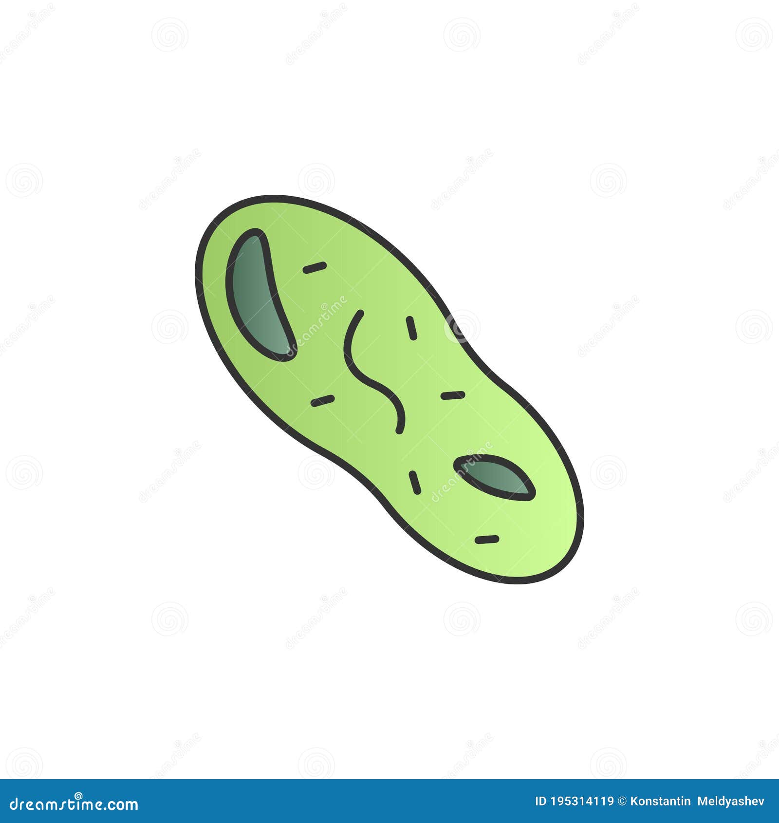 Paramecium Color Gradient Vector Icon Stock Illustration - Illustration of cell, virus: 195314119