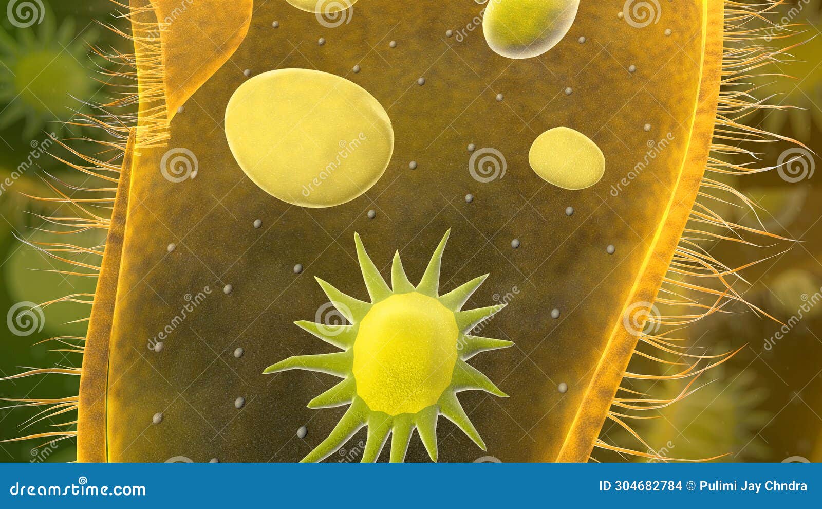 Paramecium Protozoa 3d Illustration. Euglena Viridis Proteus ...