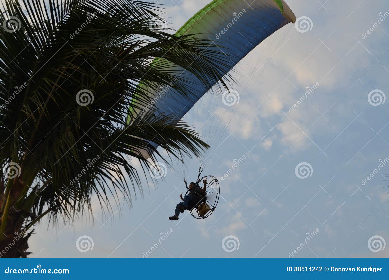 Paramotor Flying Over the Palm Trees Stock Photo - Image of bravery ...