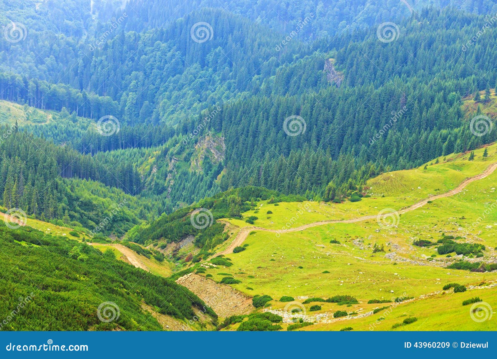Parang Mountains, Romania stock image. Image of calm - 43960209