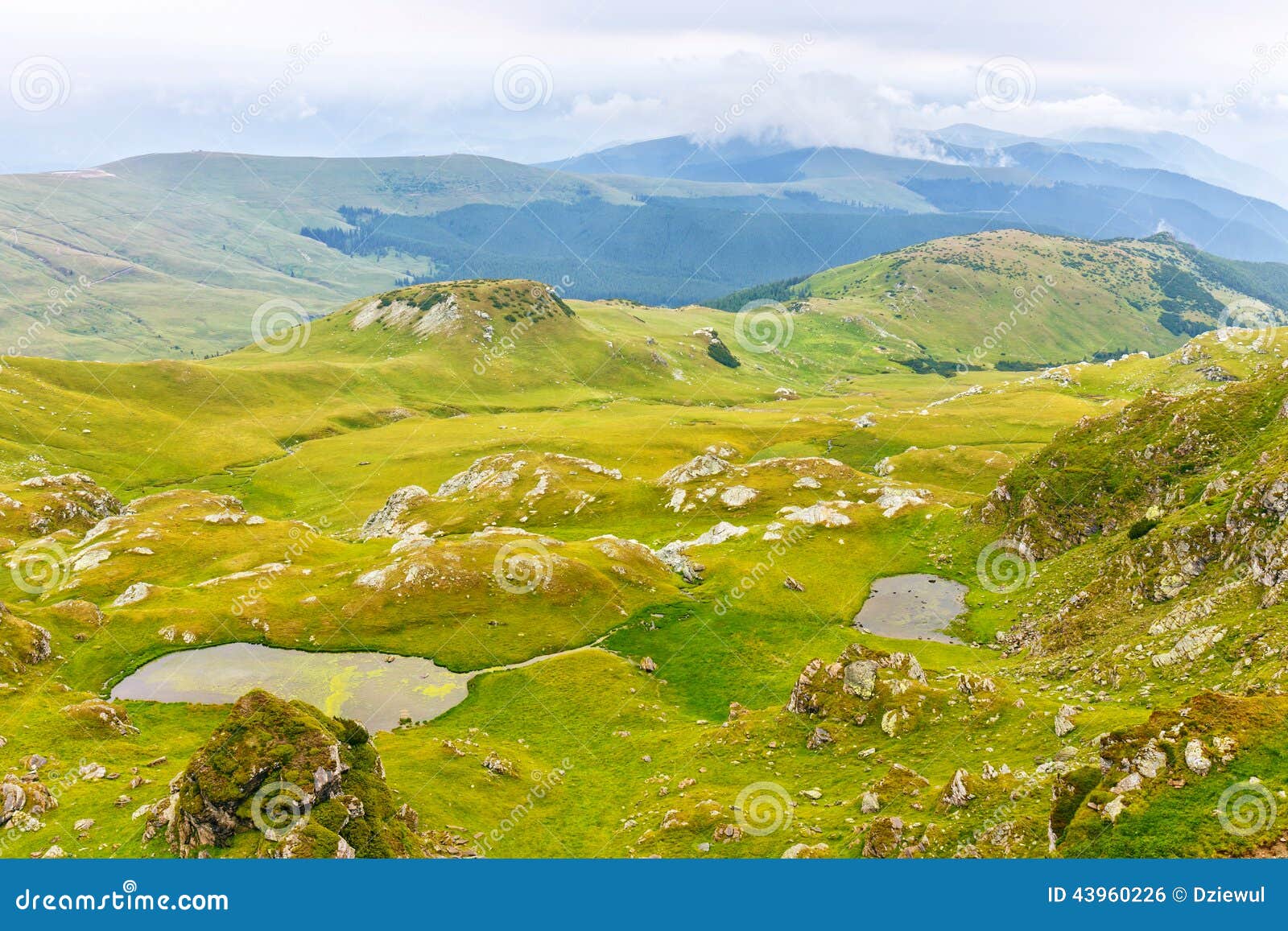 Parang Mountains, Romania stock photo. Image of calm - 43960226