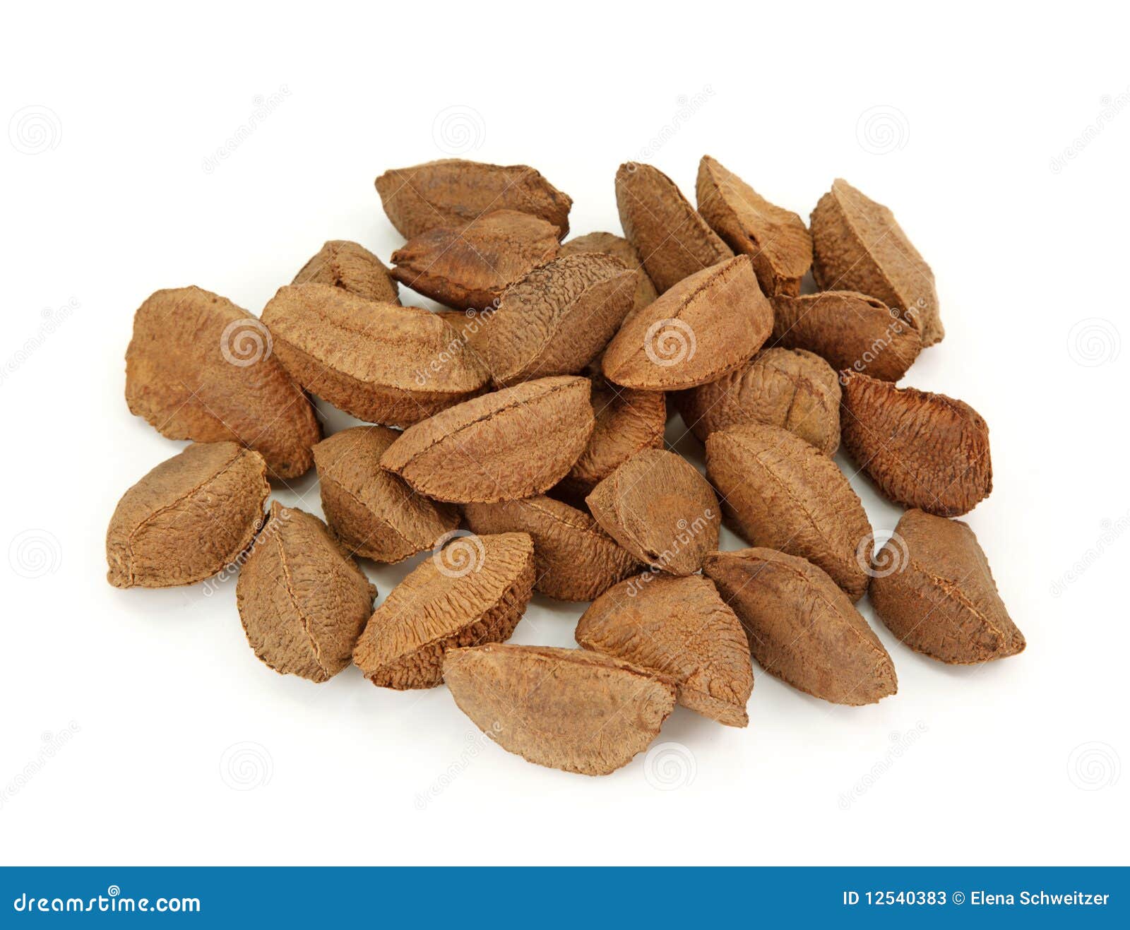 Paranuss stockbild. Bild von protein, frucht, brasilien - 12540383