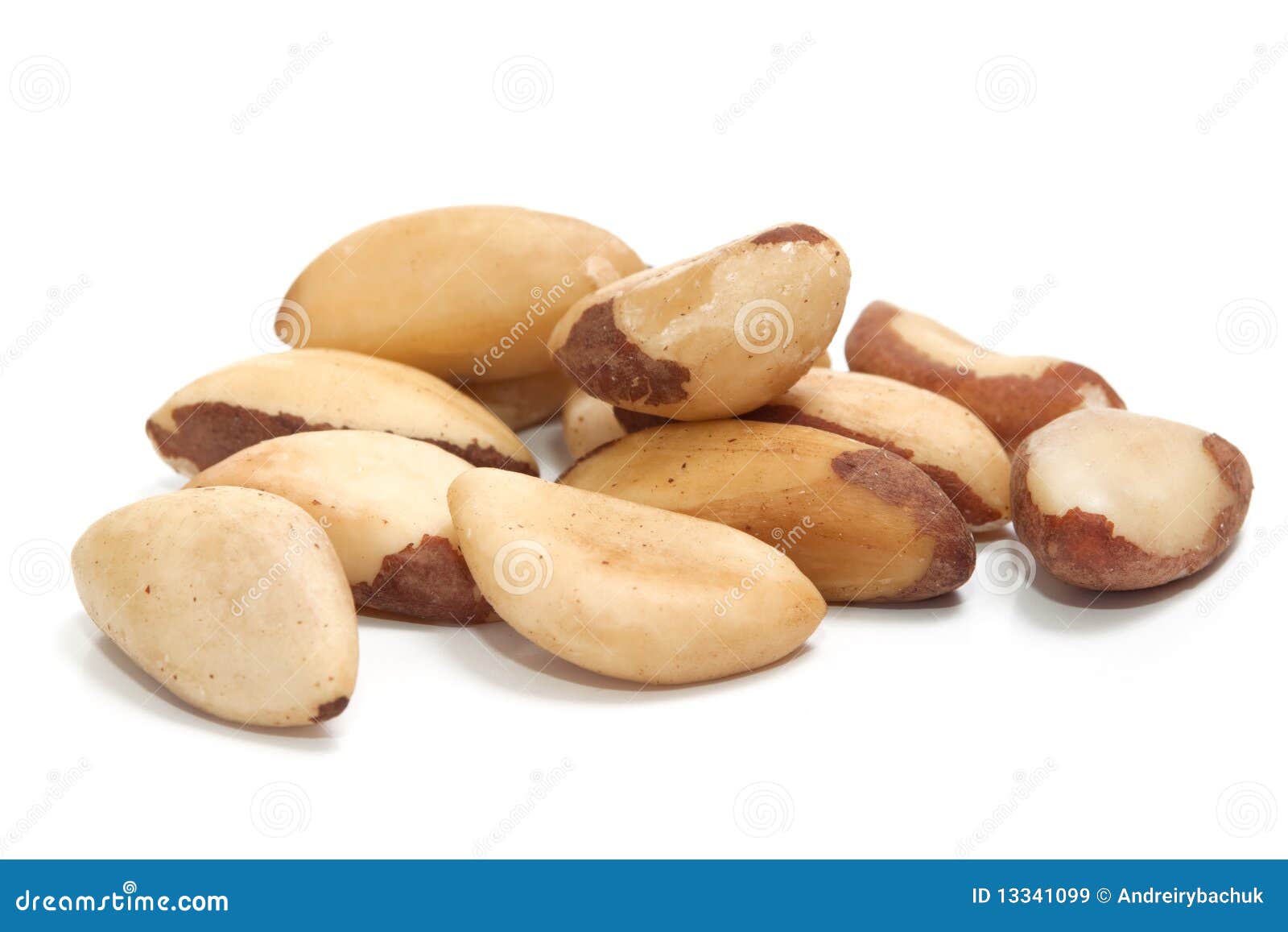 Paranuss stockbild. Bild von essen, baum, vegetarier - 13341099