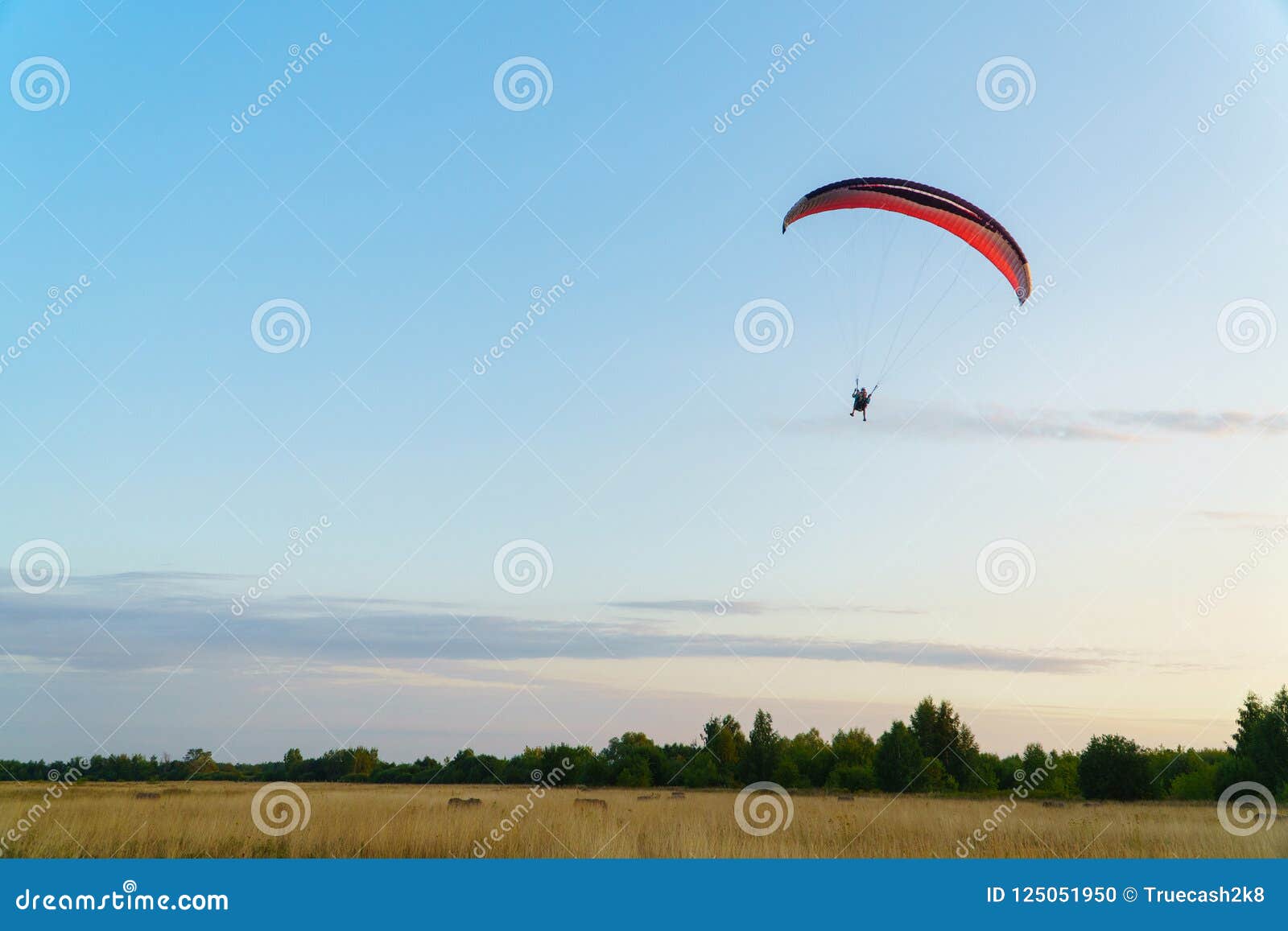 Paraplane on the Blue Sky Background, Leisure Activity. Stock Photo ...