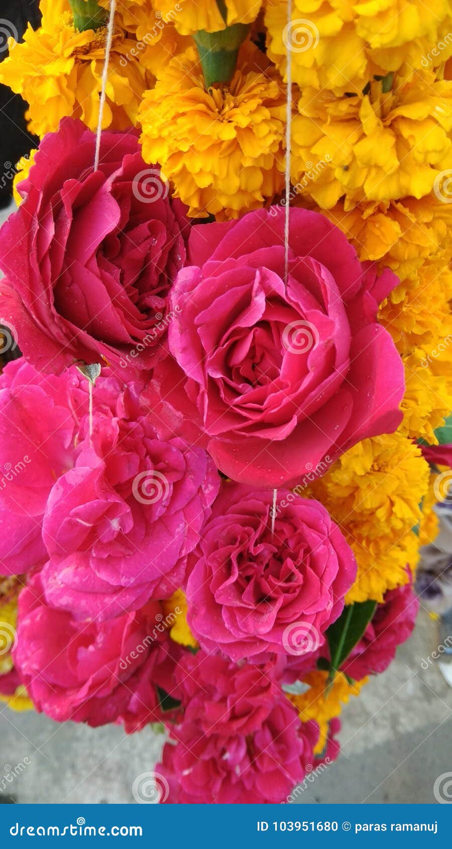 Paras Ramanuj Sand Flowers Stock Photos - Free & Royalty-Free Stock ...