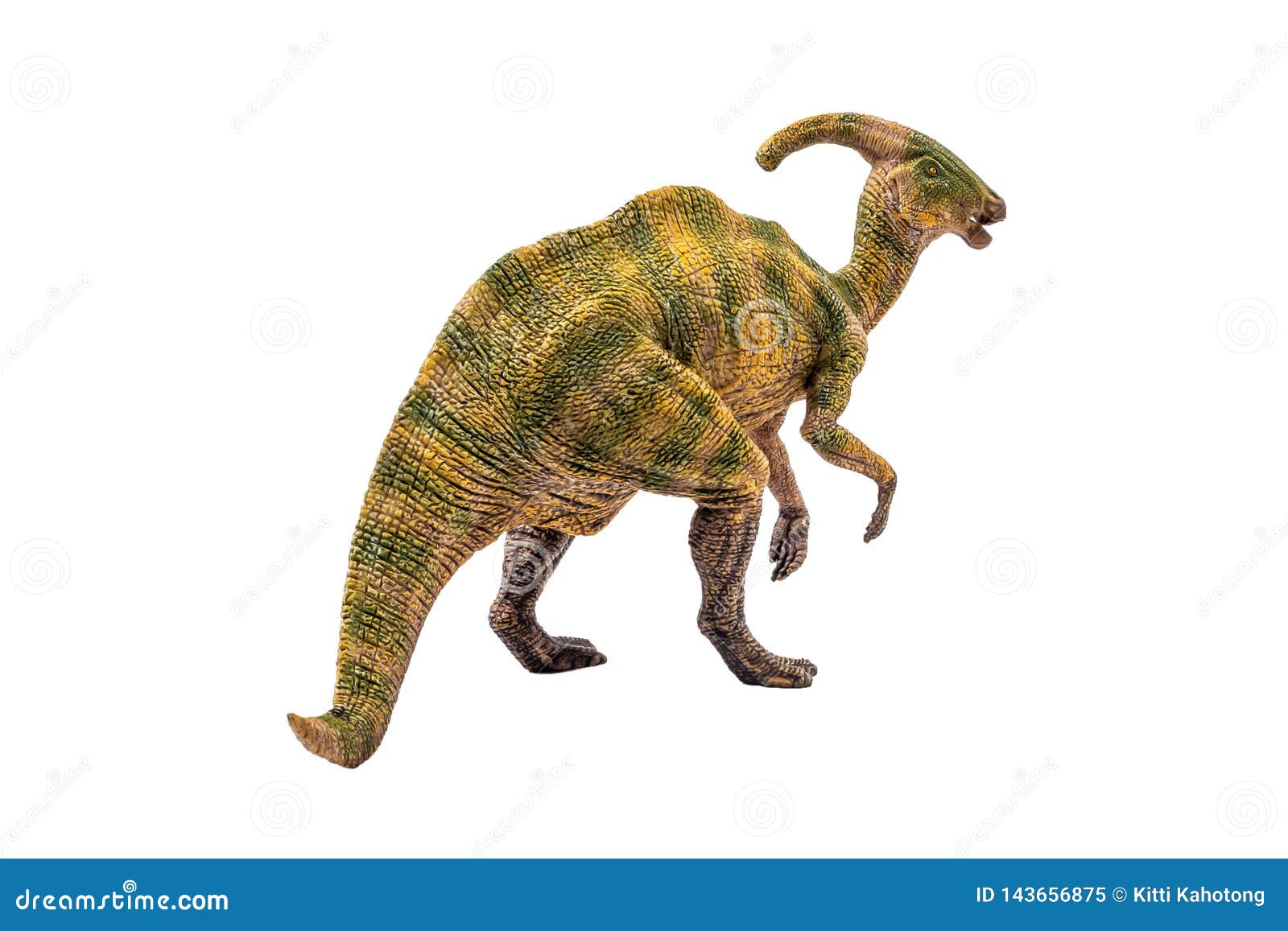 Parasaurolophus Dinosaur On White Background Stock Photography ...