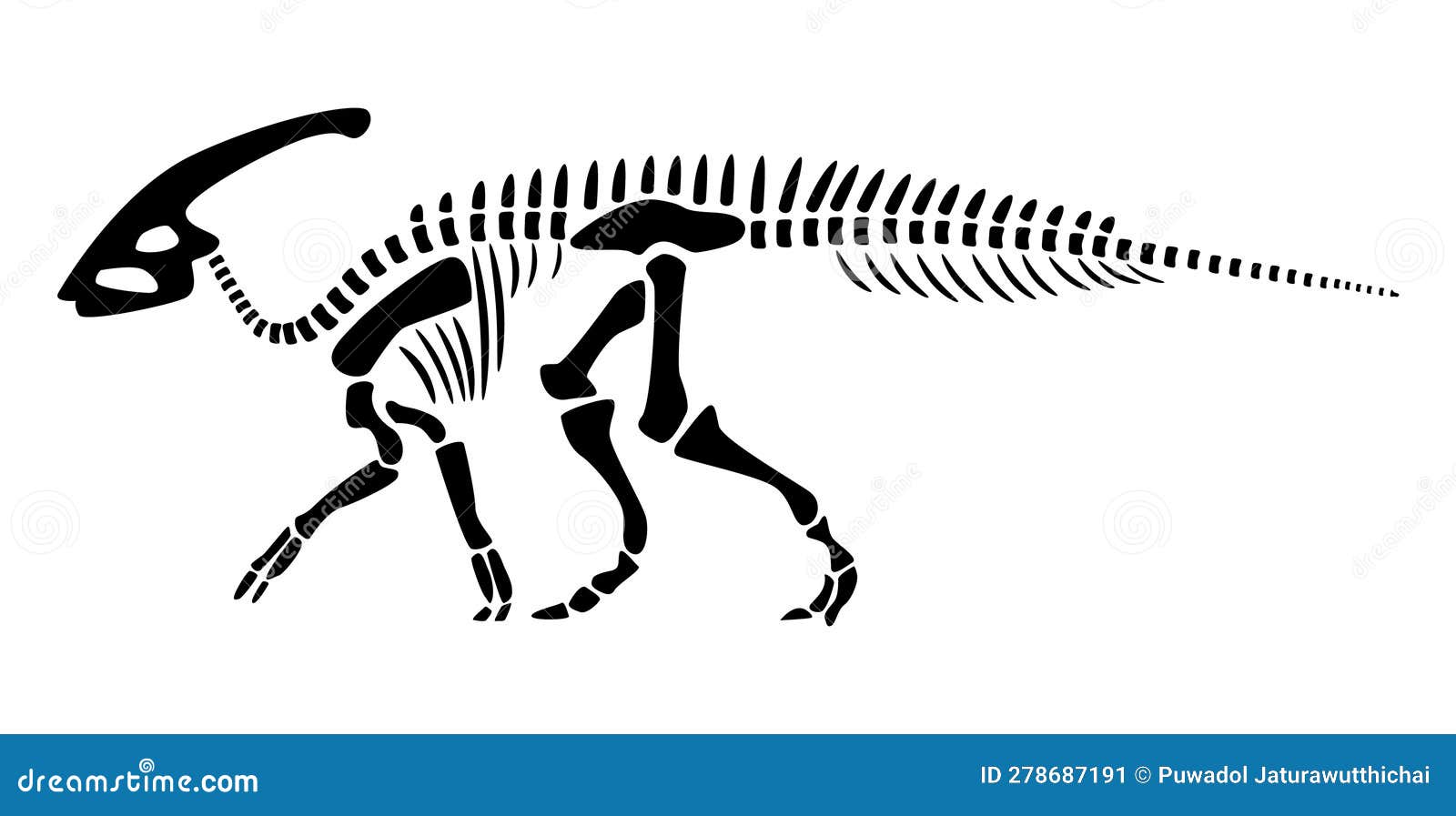 Parasaurolophus Skeleton . Silhouette Dinosaurs . Side View Stock ...
