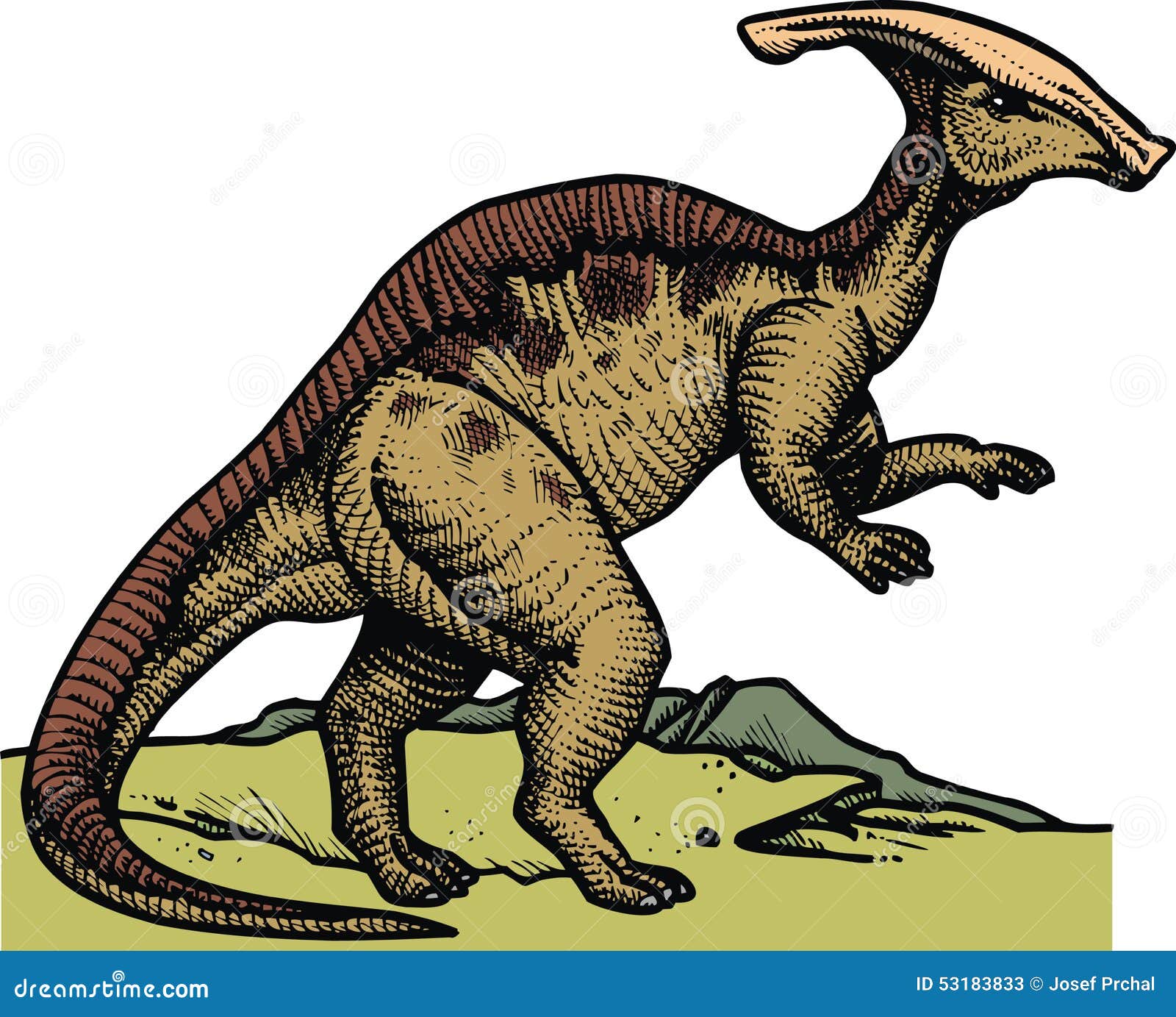 Parasaurus - Prehistoric Dinosaur Stock Illustration - Illustration of ...