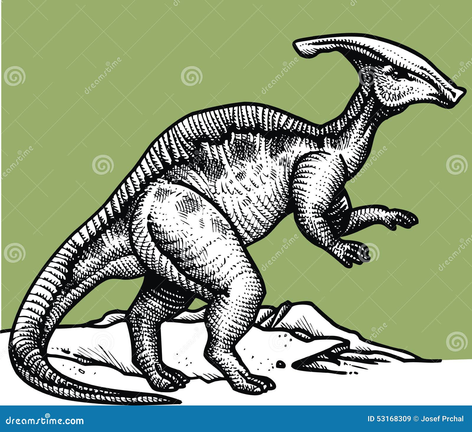 Parasaurus Cartoons, Illustrations & Vector Stock Images - 7 Pictures ...