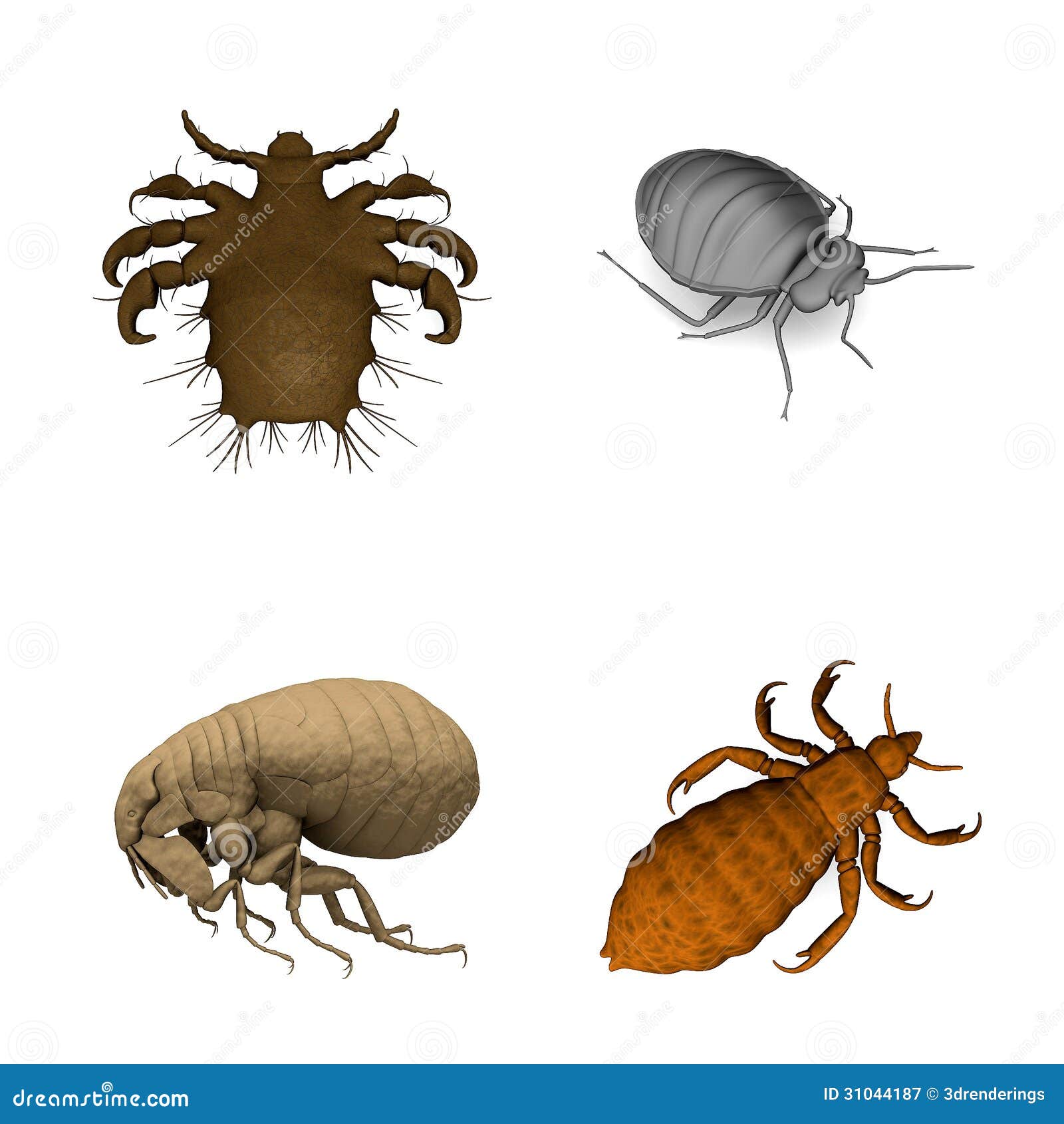 4 parasieten stock illustratie. Illustration of teruggeven - 31044187