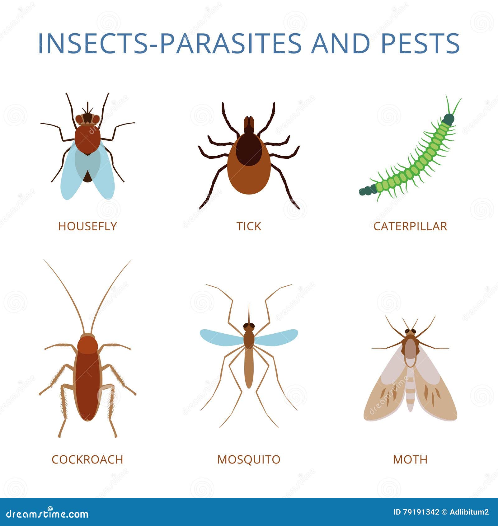 Parasites Et Parasites D'insectes Illustration Stock - Illustration du ...