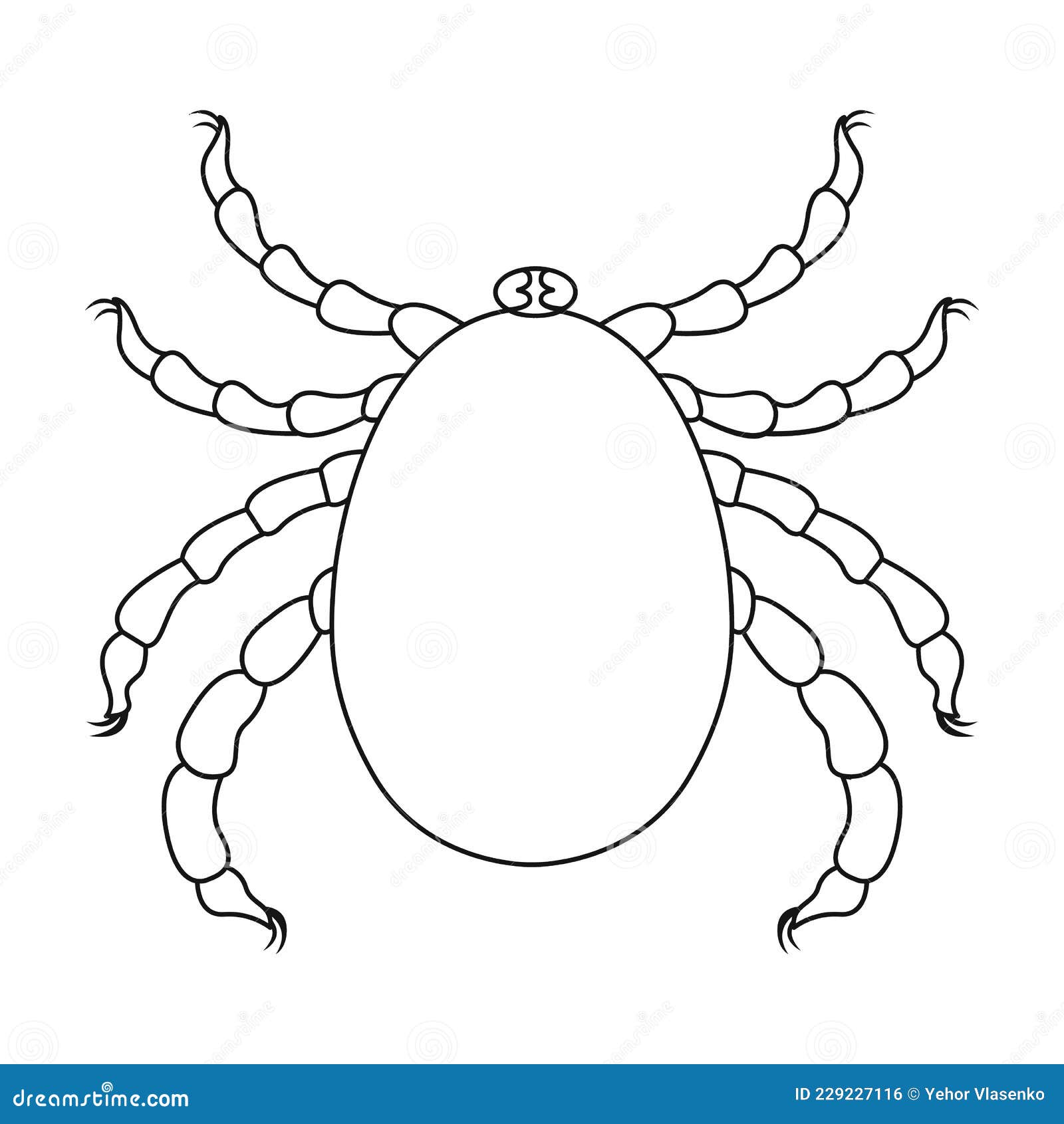 Mite. Vector Drawing | CartoonDealer.com #78605278