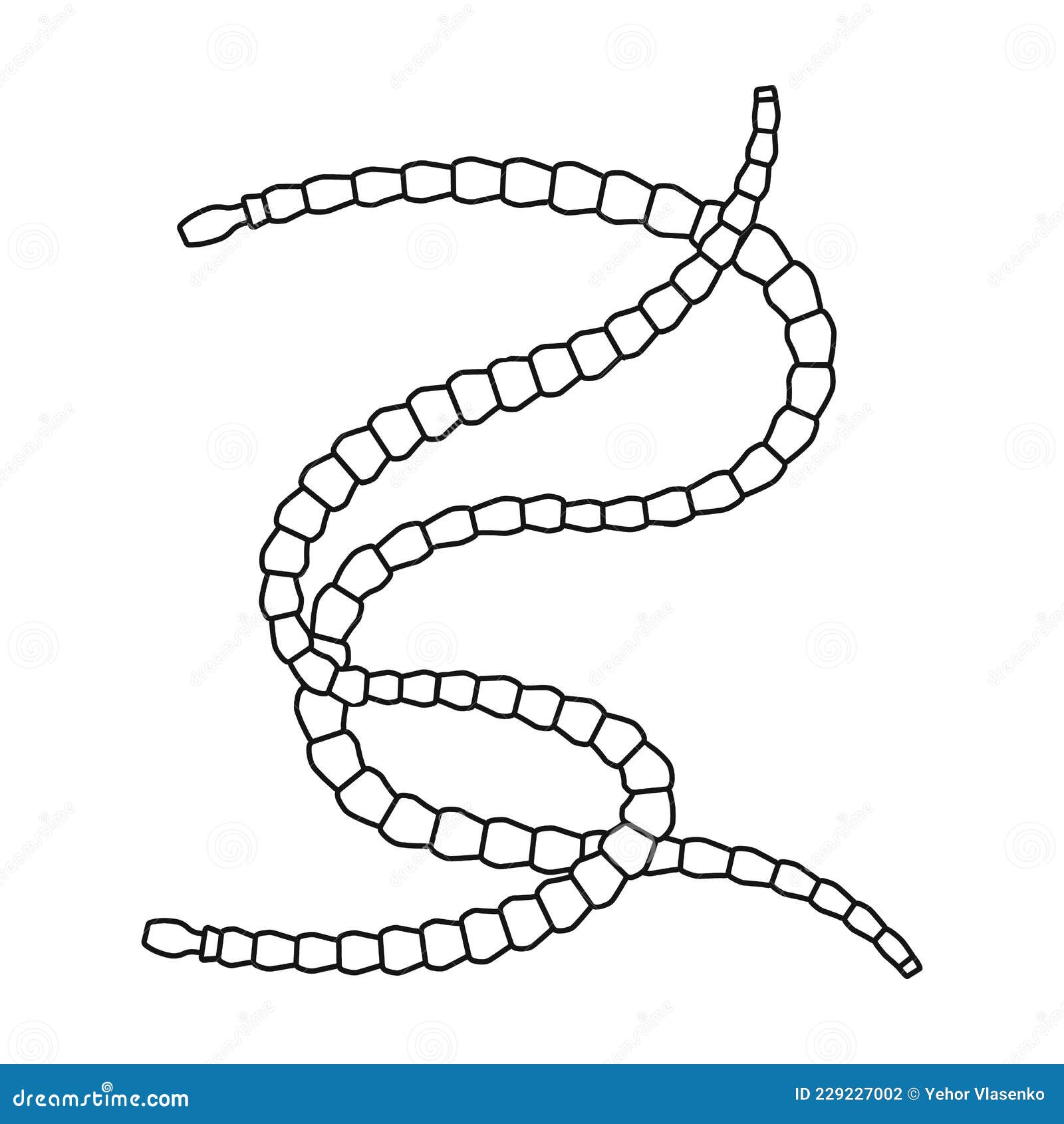 Parasites Worms Vector Icon.Outline Vector Icon Isolated on White ...