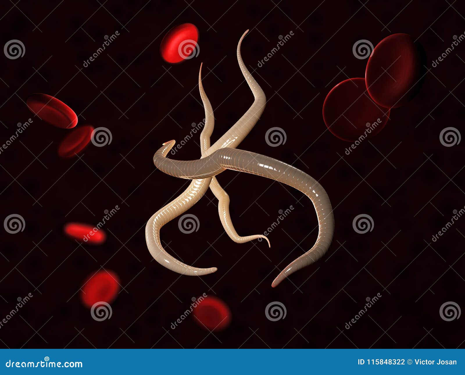 Parasitic Nematode Worms with Blood Cells, 3d Illustration Stock ...