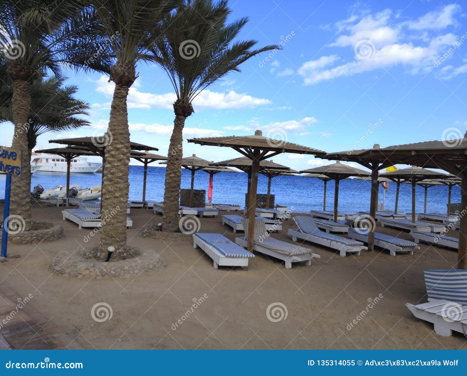 Parasol Beach stock image. Image of palm, egypt, beautiful - 135314055