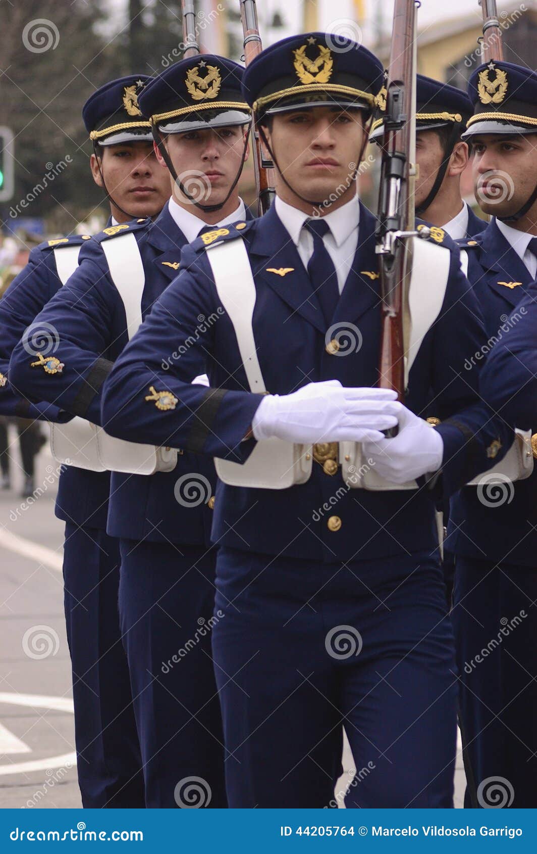 Parata militare immagine stock editoriale. Immagine di funzionario ...