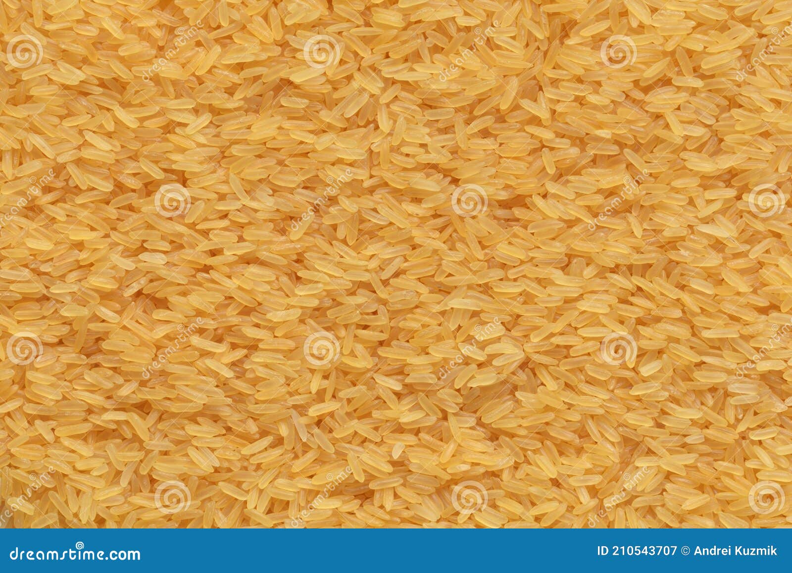 Parboiled Yellow Rice Background or Texture Stock Image - Image of crop ...