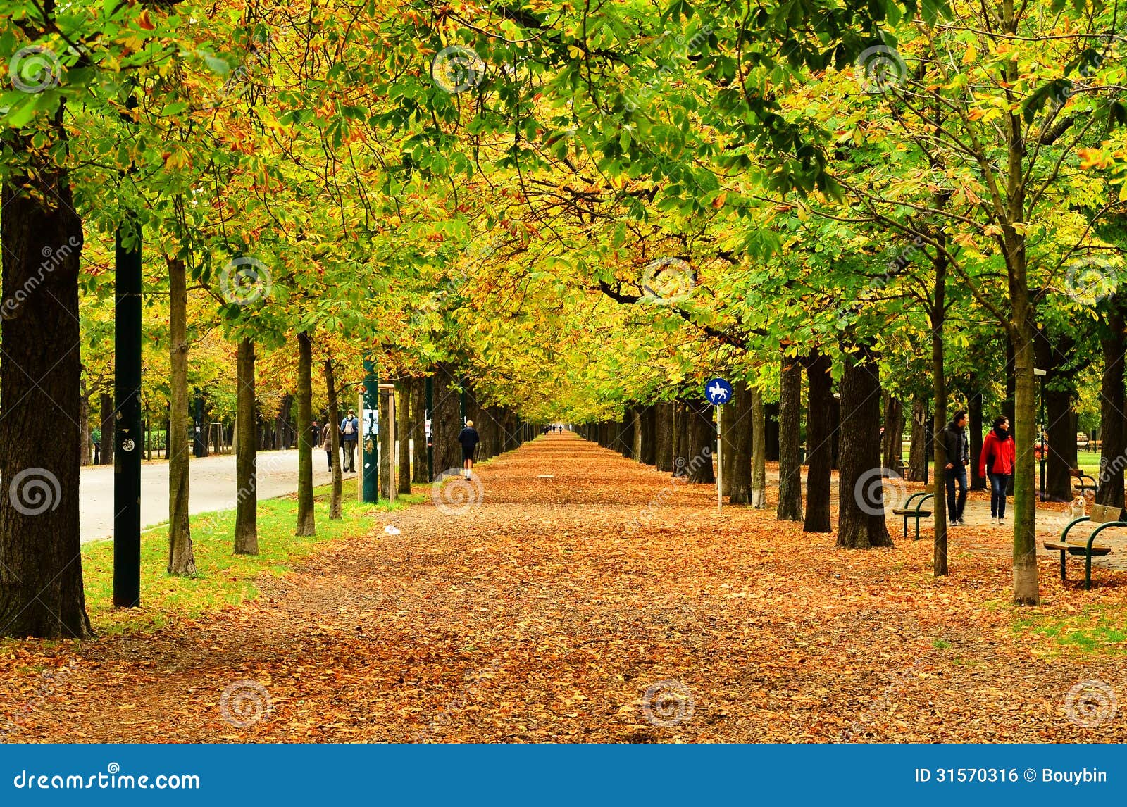 Parc D'automne à Vienne, Autriche. Photo stock - Image du fond, nature ...