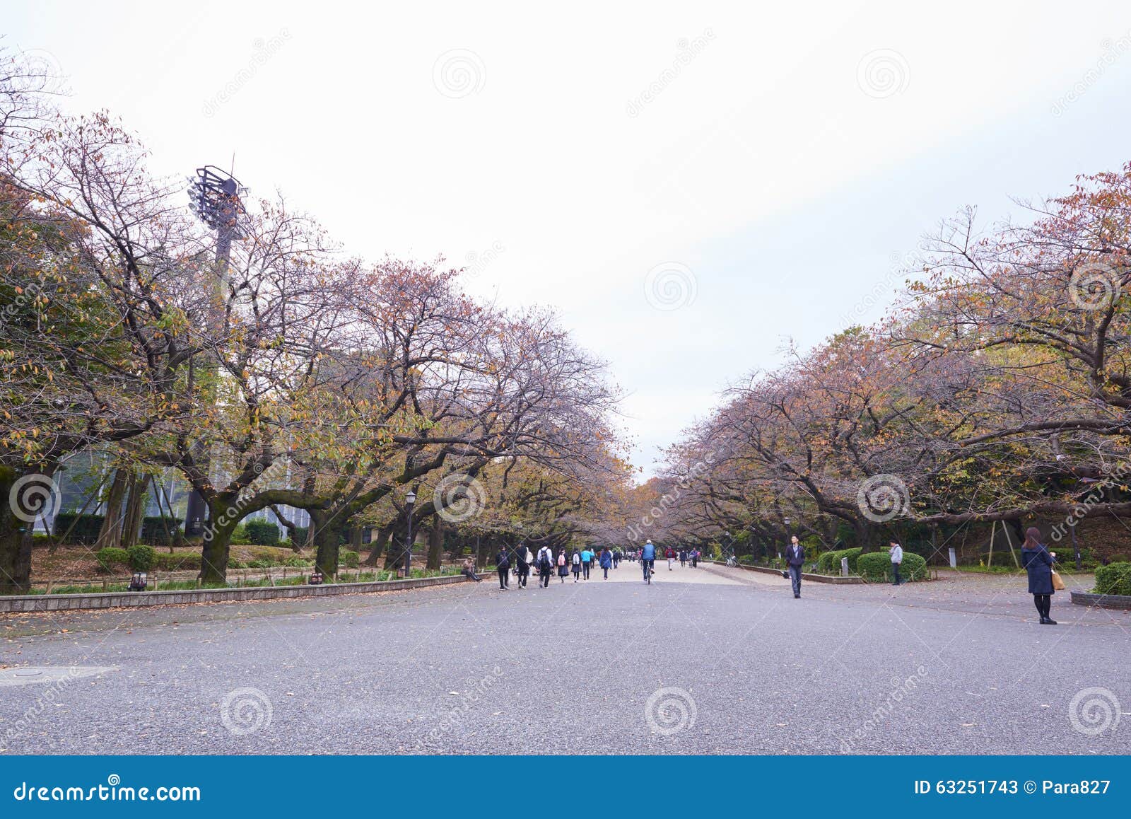 Parc d'Ueno, Japon photo stock éditorial. Image du japon - 63251743