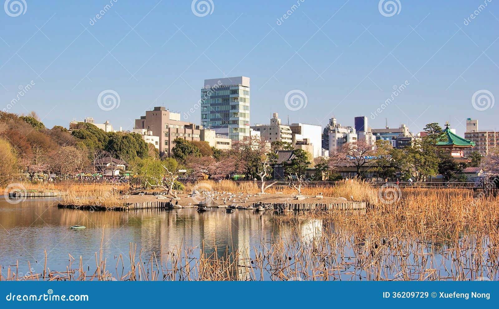 Parc d'Ueno, Tokyo, Japon image stock. Image du moderne - 36209729