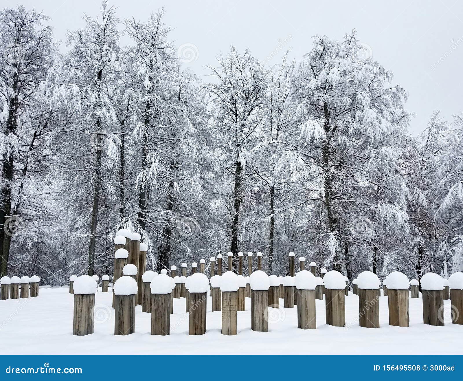 Parc En Bois Recouvert De Neige Photo stock - Image du vide ...