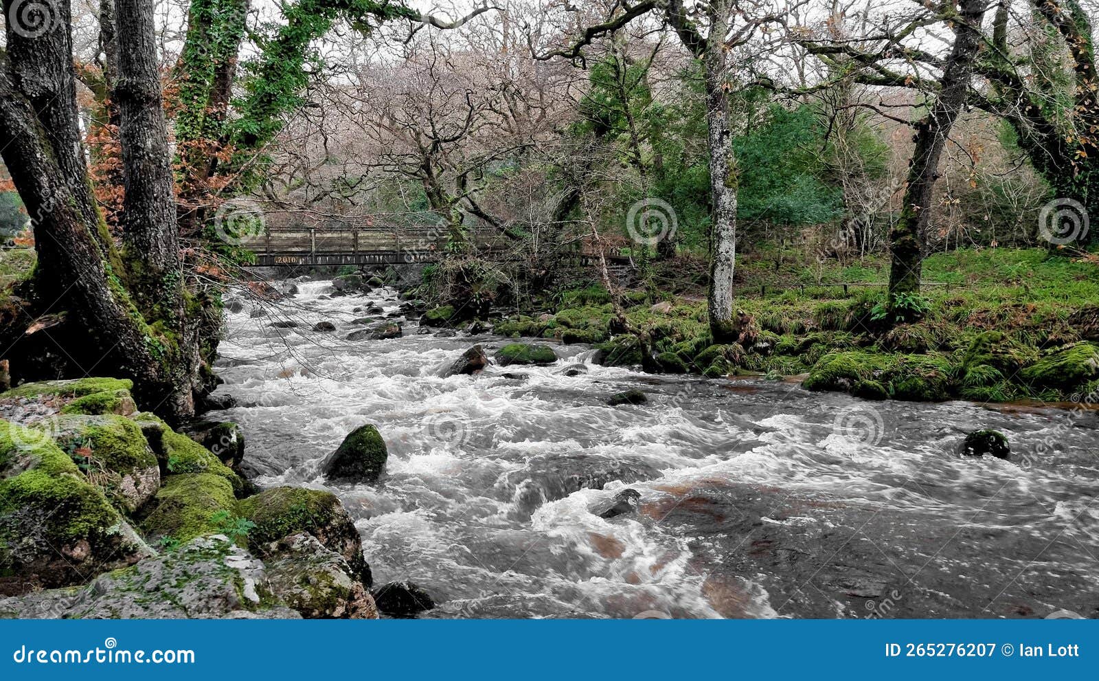 Parc National De Dartmoor Devon Uk Image stock - Image du crique, lame ...