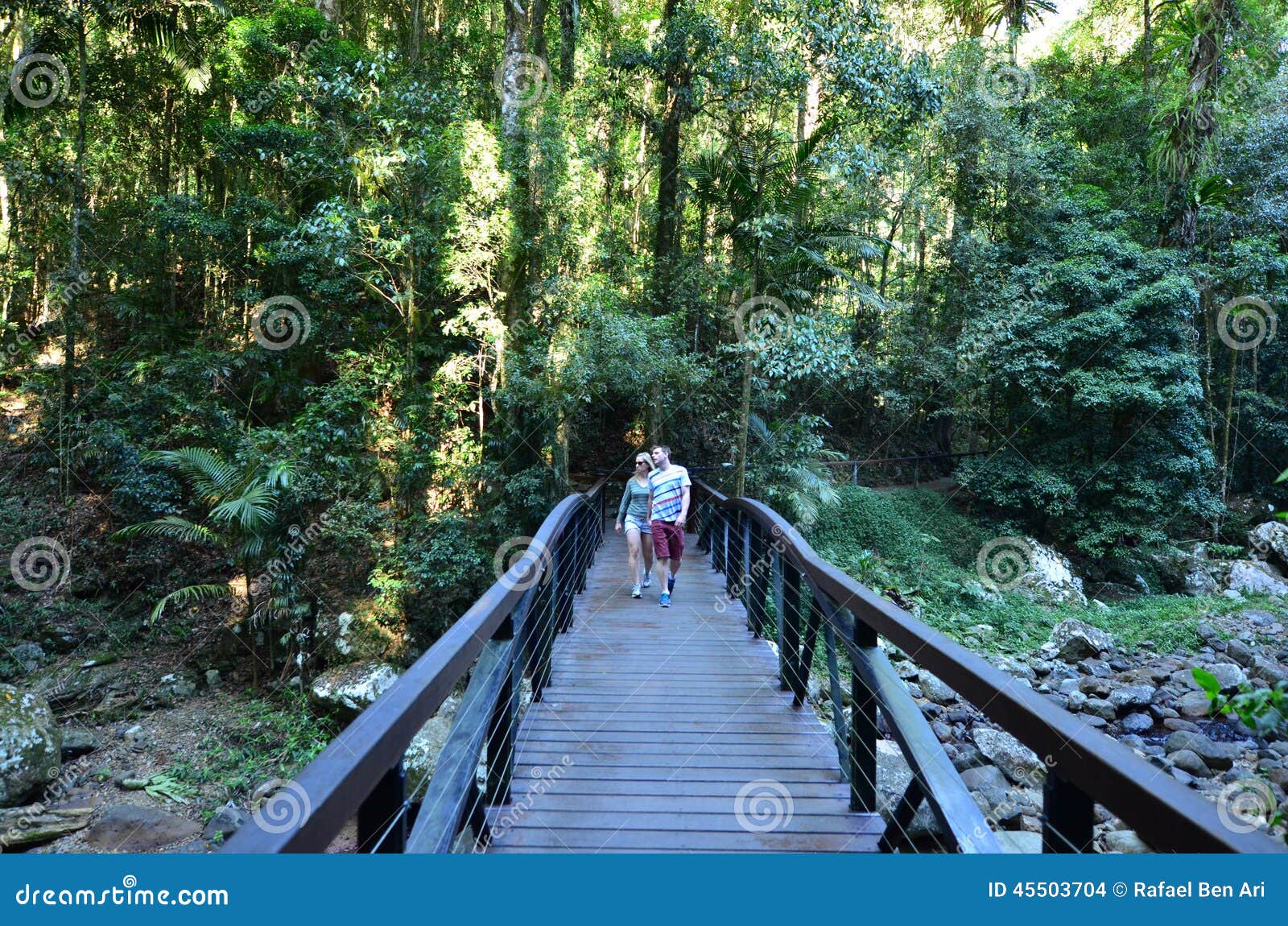 Parc National De Springbrook - Australie Du Queensland Image stock ...