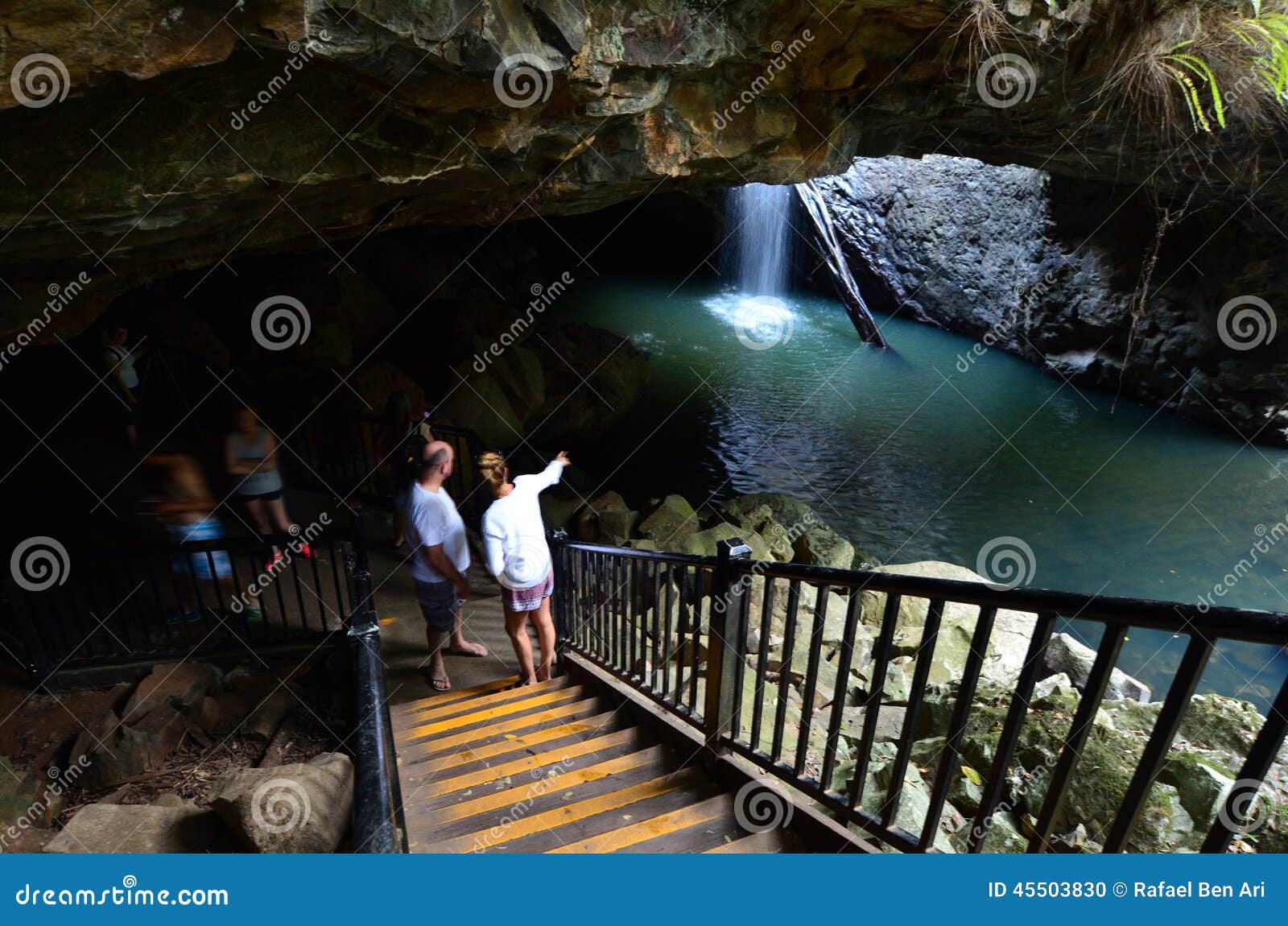 Parc National De Springbrook - Australie Du Queensland Image éditorial ...