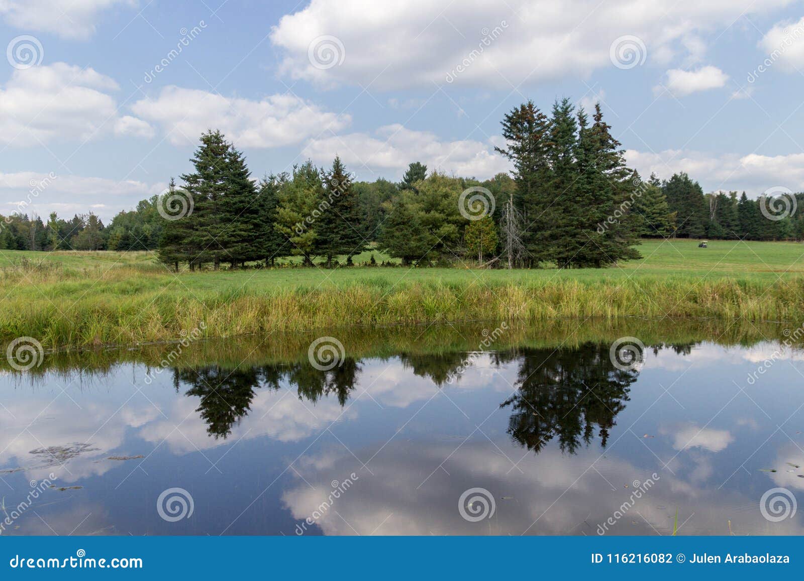 Parc Omega Canada stock photo. Image of nature, safari - 116216082