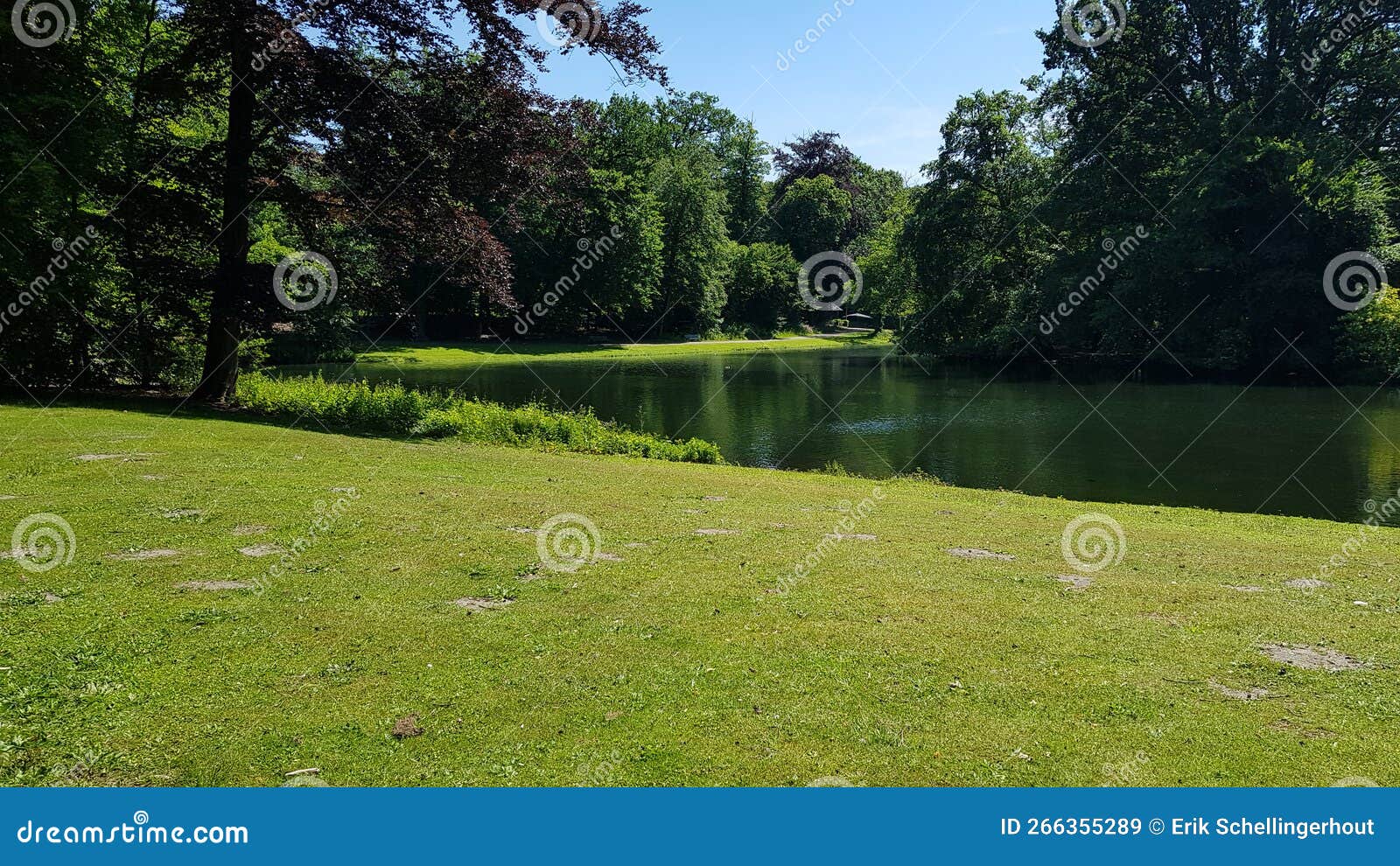 Park Sonsbeek in Summertime with a Blue Sky Stock Image - Image of pond ...
