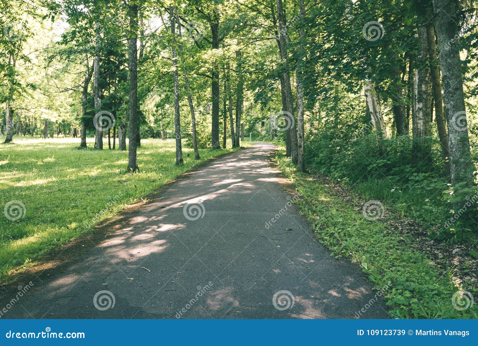 Parc Vert Avec Des Passages Couverts - Effet Vert De Vintage Image ...