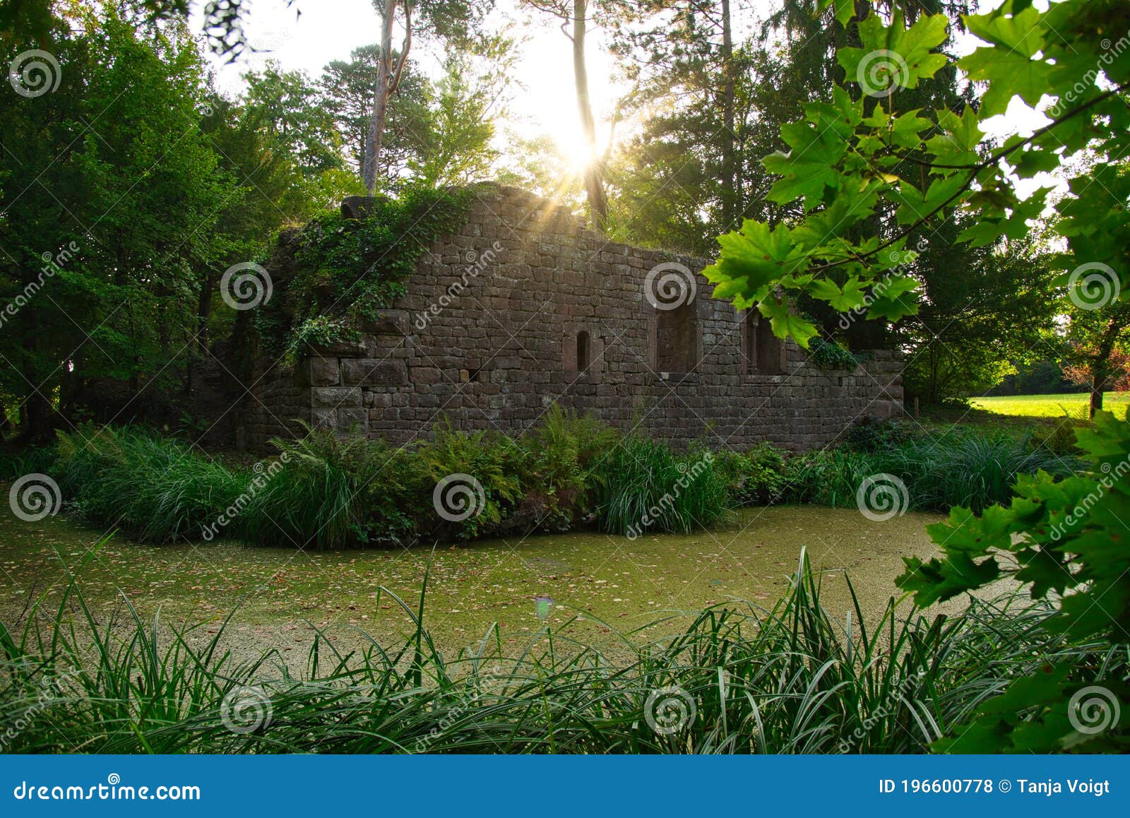 Parc of Windeck in Ottrott in Alsace Editorial Stock Photo - Image of ...