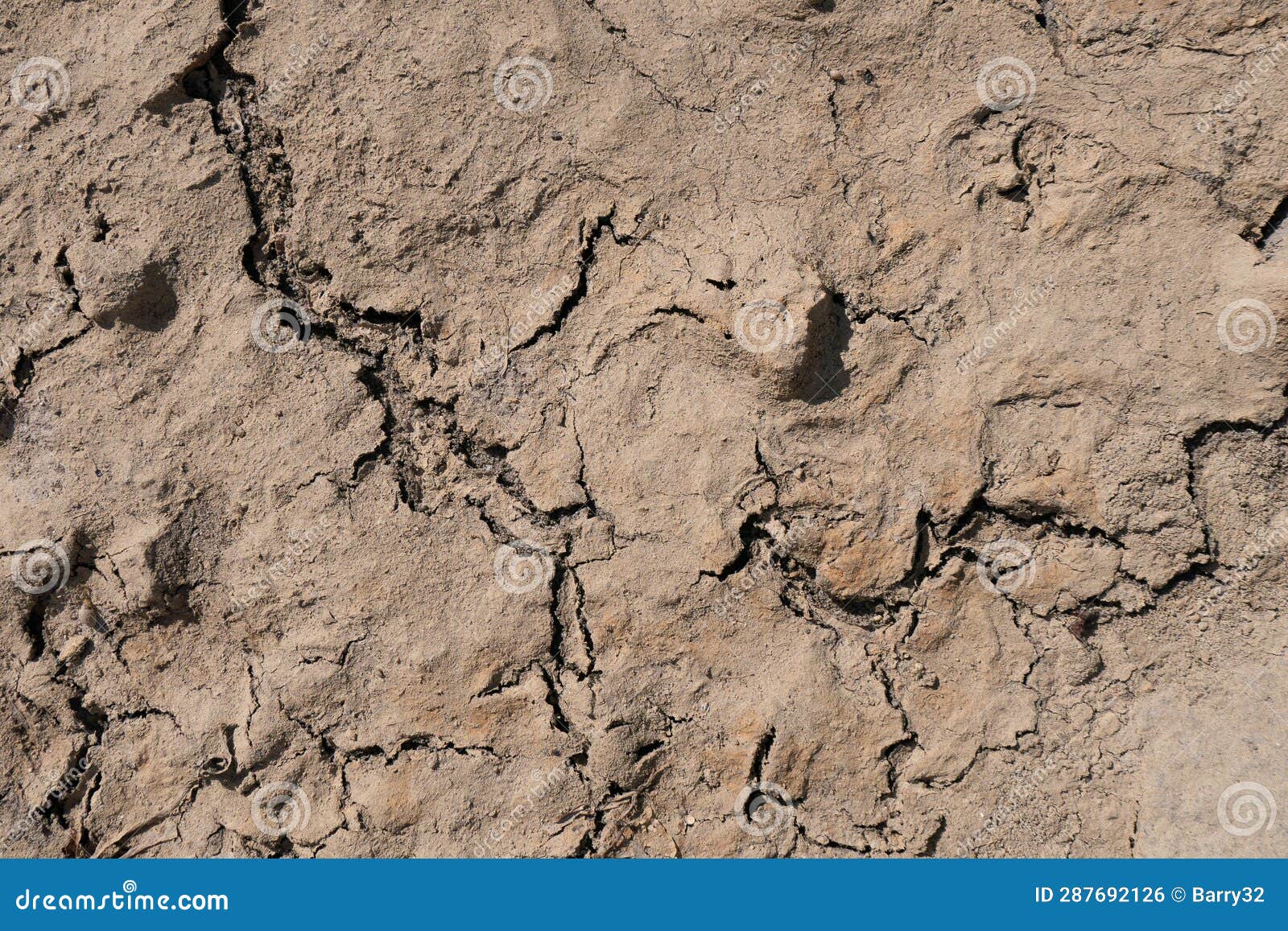 Parched, Cracked Riverbed during Drought in Portugal. Top Down View ...