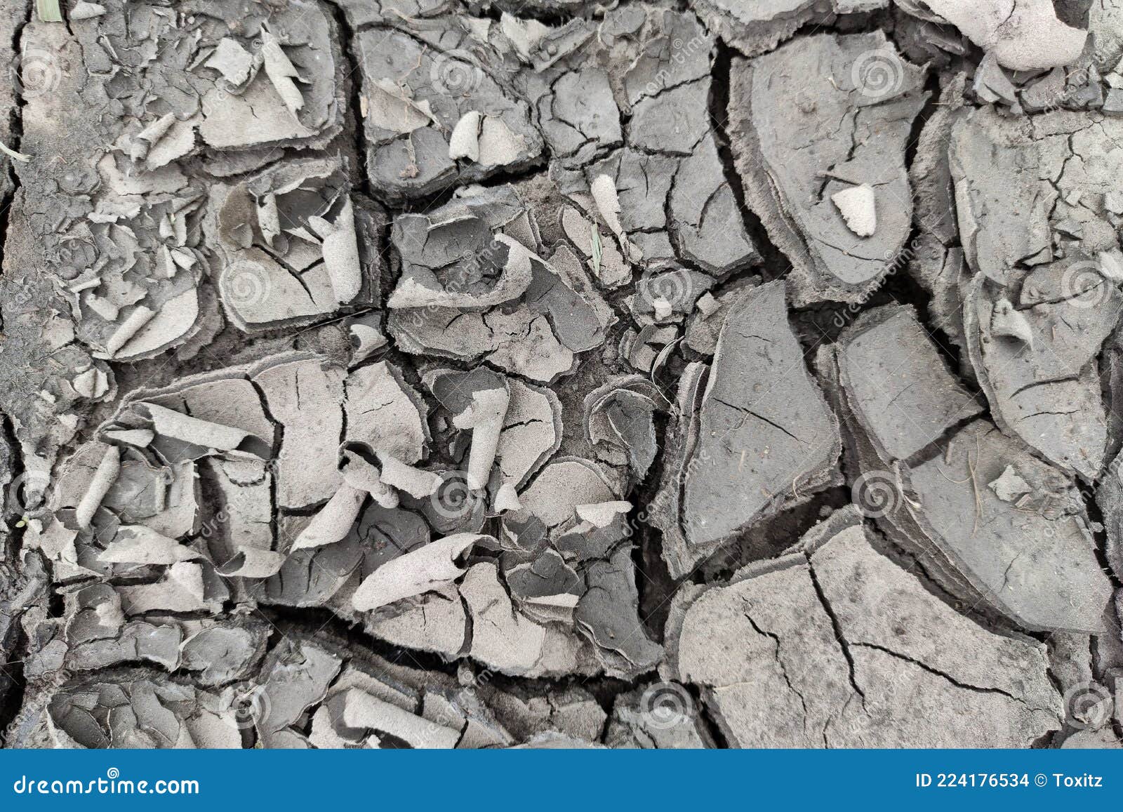 Parched, Cracked Soil in the Hot Sun Texture and Pattern. Stock Photo ...