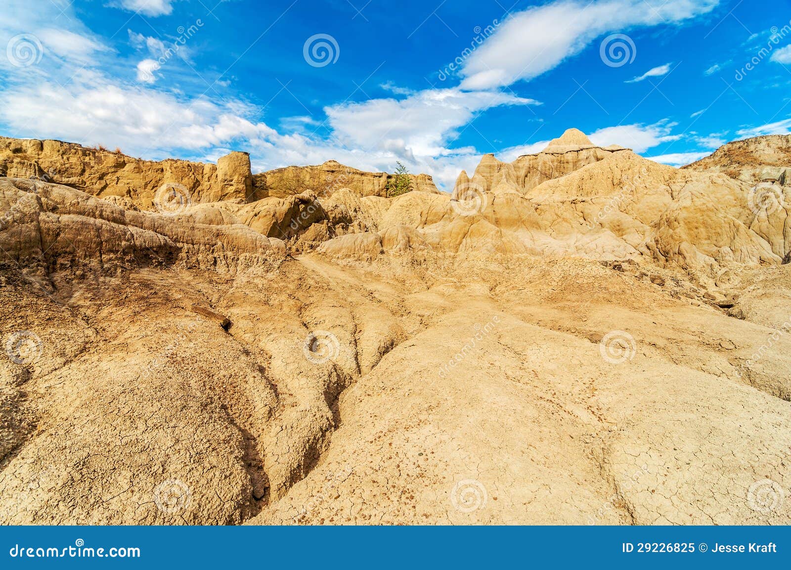 Parched Desert Landscape stock image. Image of arid, nature - 29226825