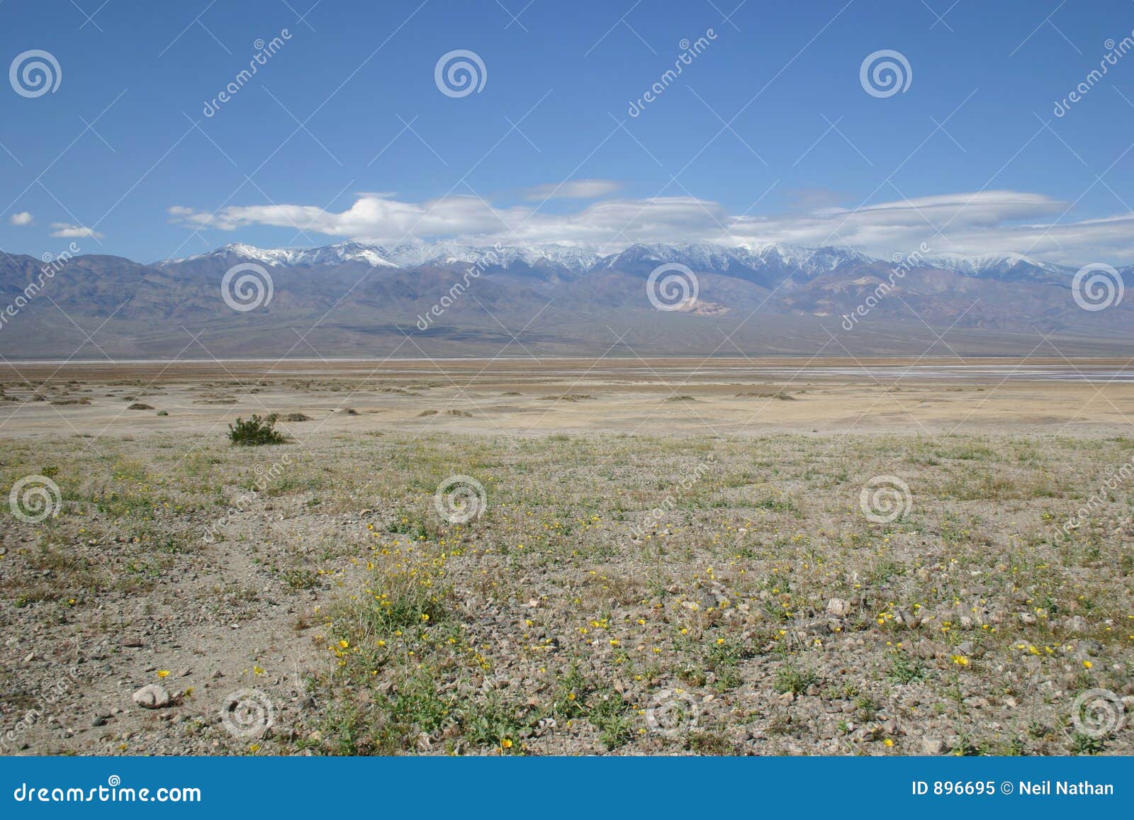 The Parched Desert Scrub Death Valley Stock Image - Image of skies ...