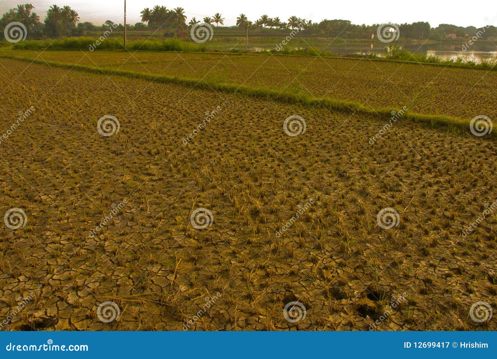 Parched Earth stock image. Image of countryside, agriculture - 12699417
