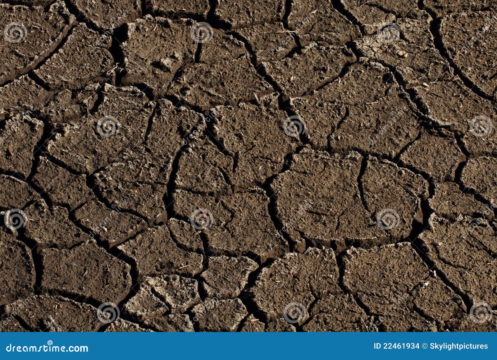 Parched Earth stock photo. Image of drying, cracked, drought - 22461934